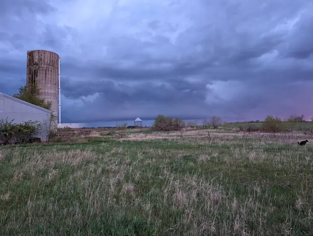 Took a picture of an incoming storm. Only noticed the squatter after send it out to others ...