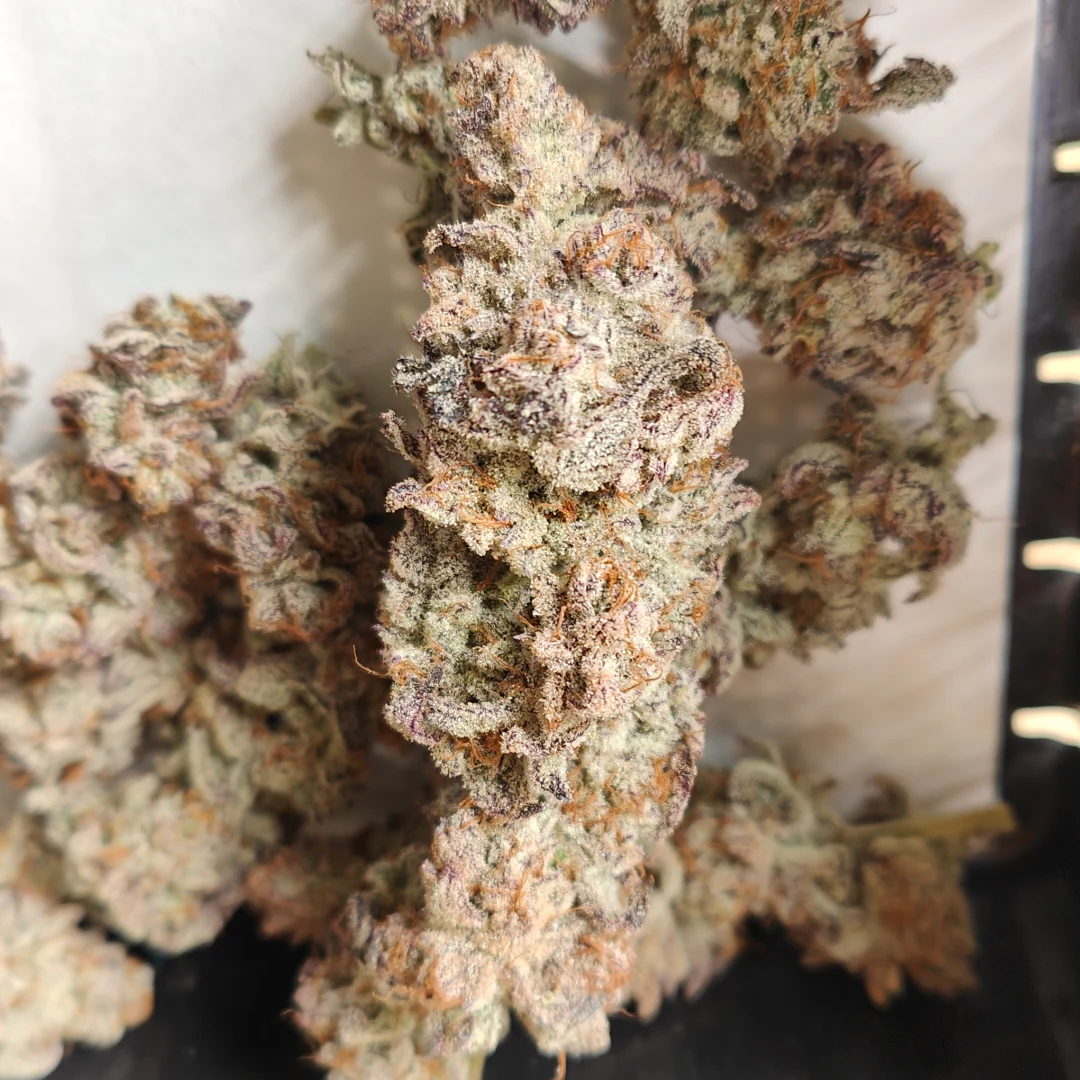 Just finished drying. | Scrolller