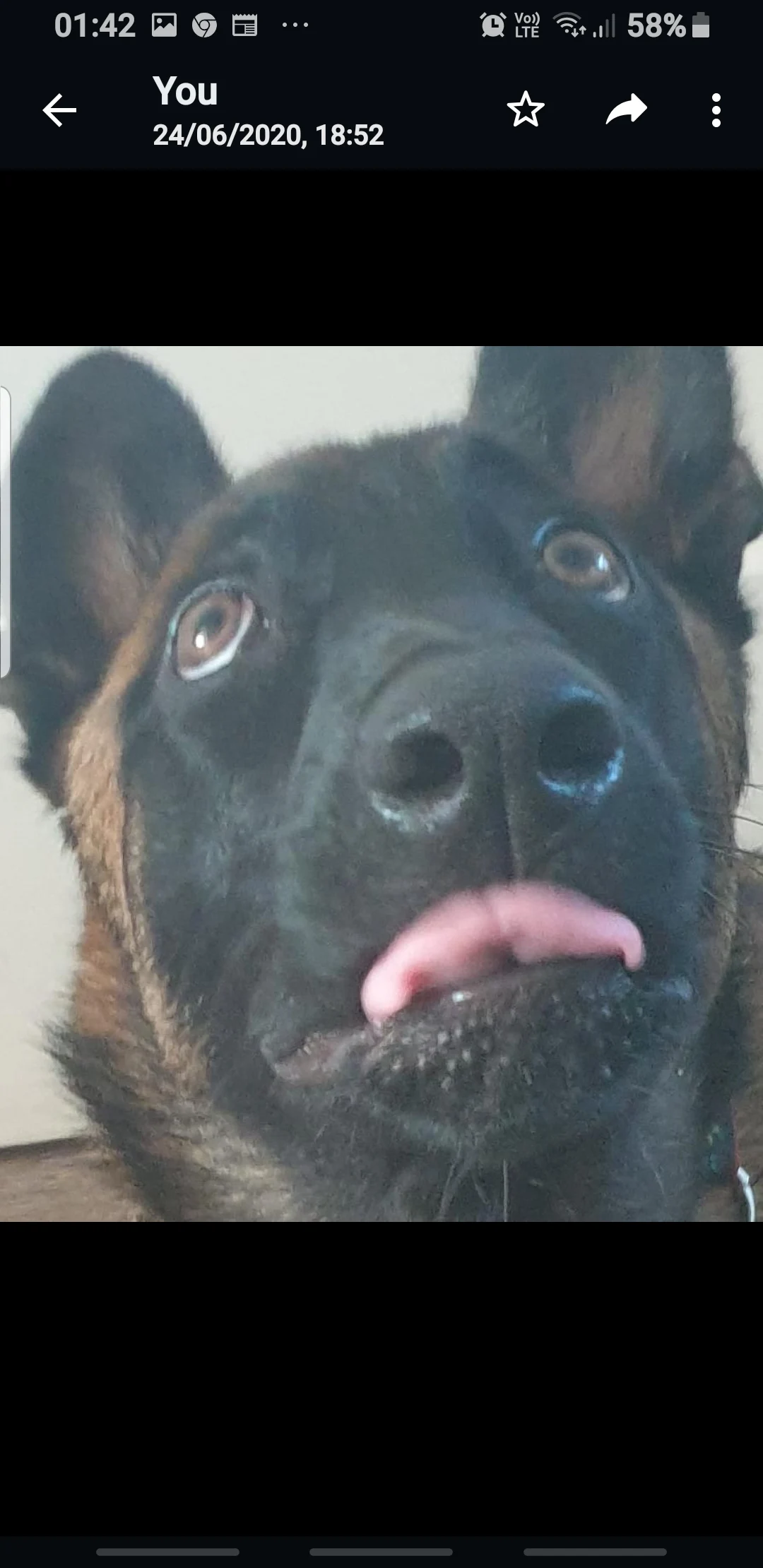 Shes beautiful usually but this is her derpy face | Scrolller