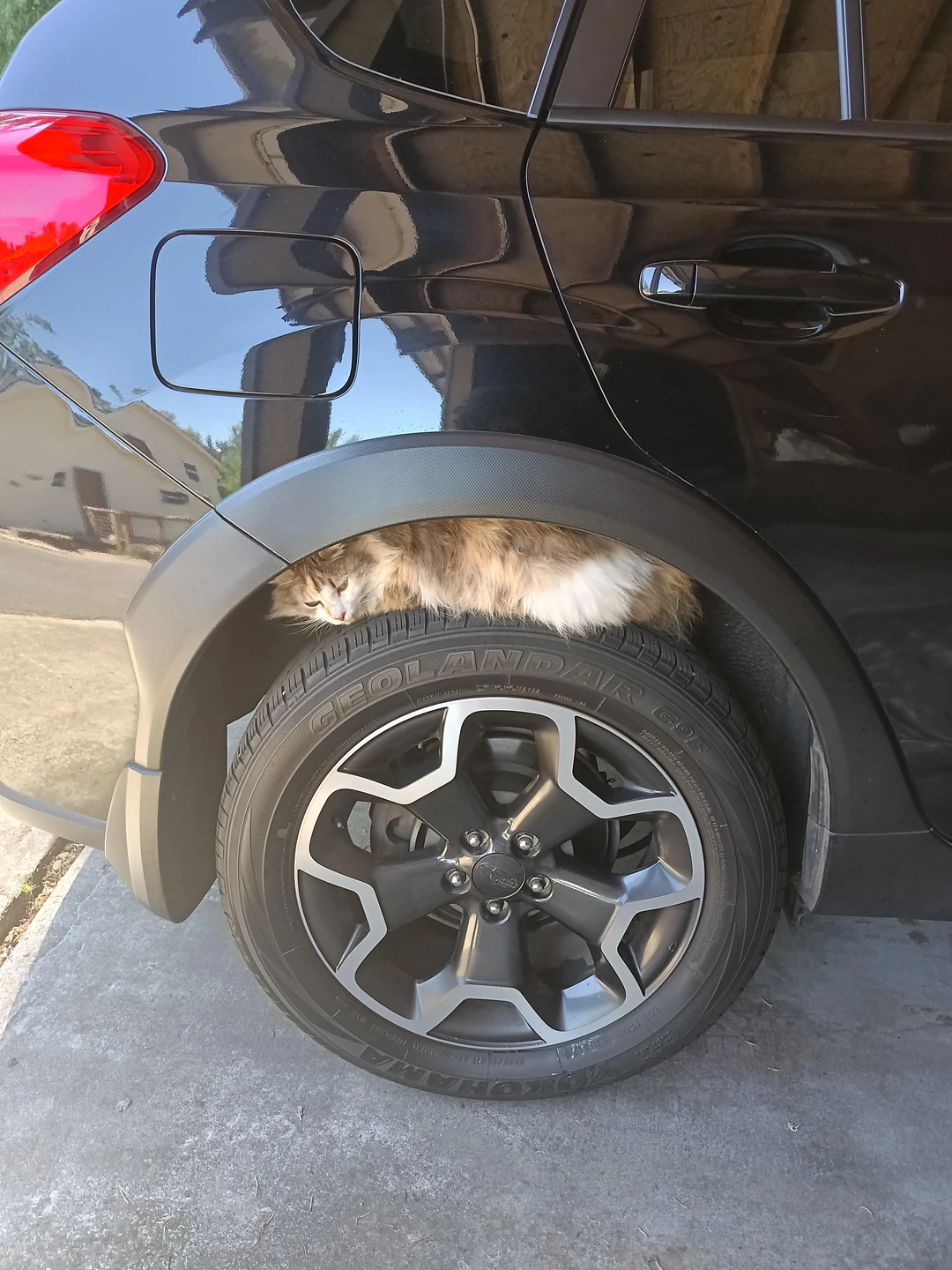 Throwback to summer | Scrolller