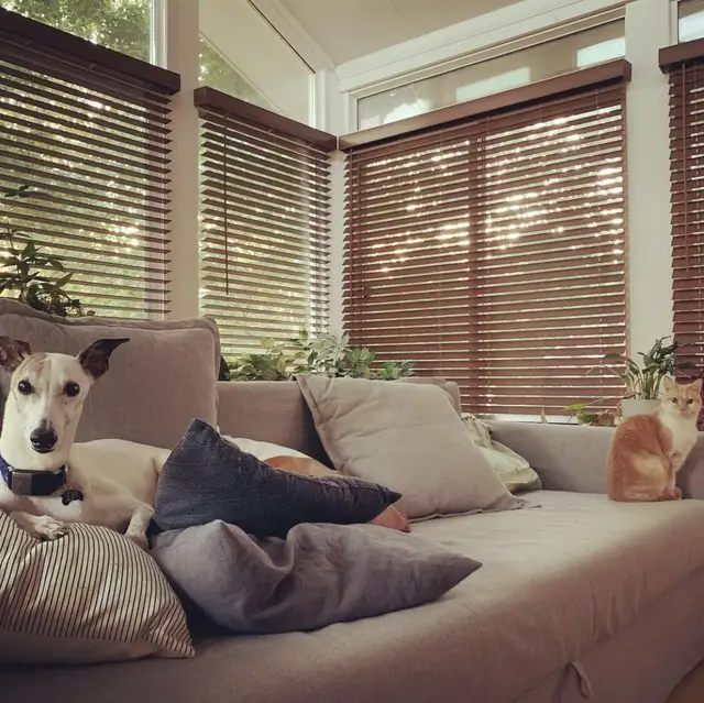 My best friend’s light-filled sunroom. | Scrolller