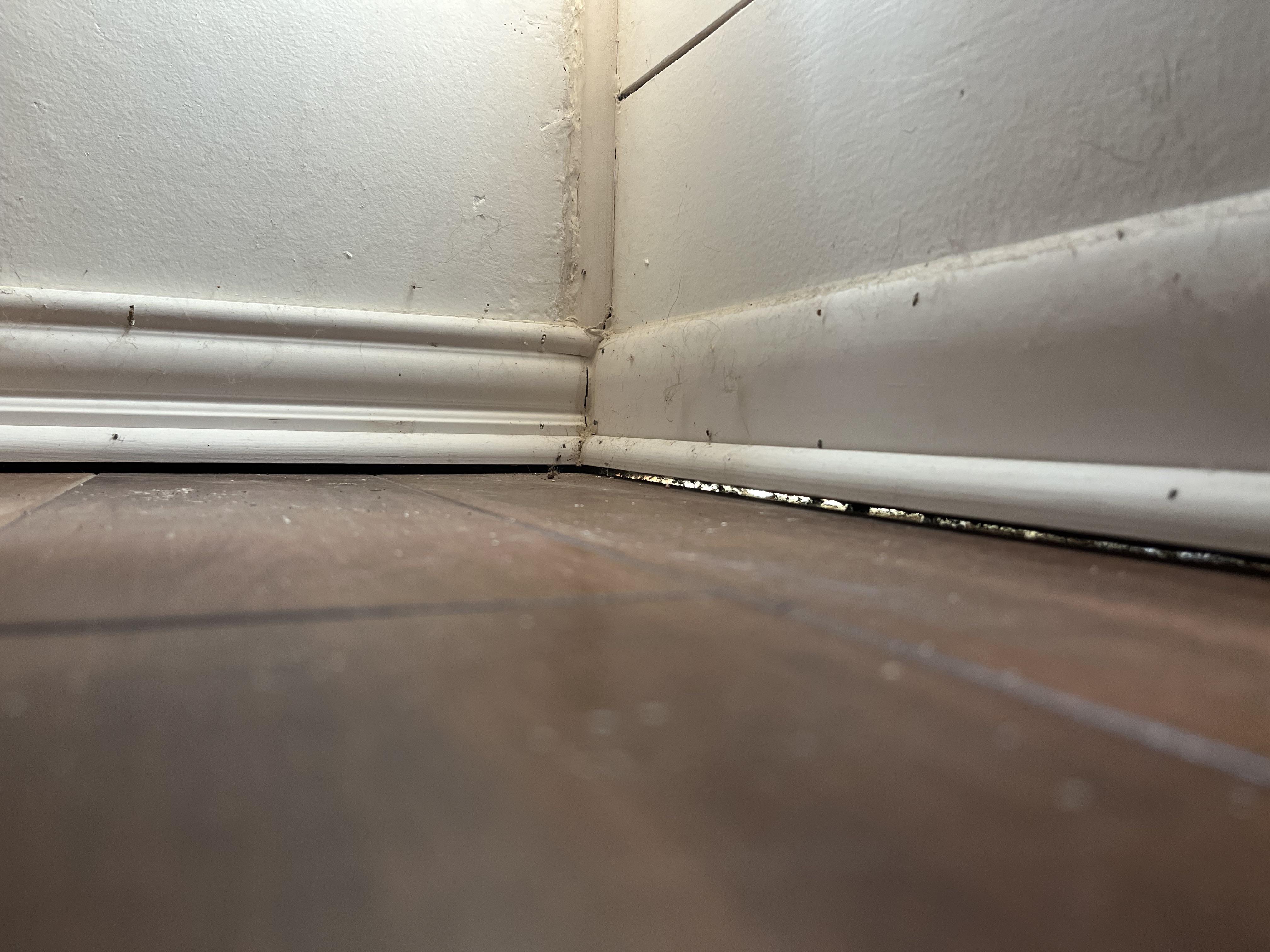 Foundation Behavior | Scrolller