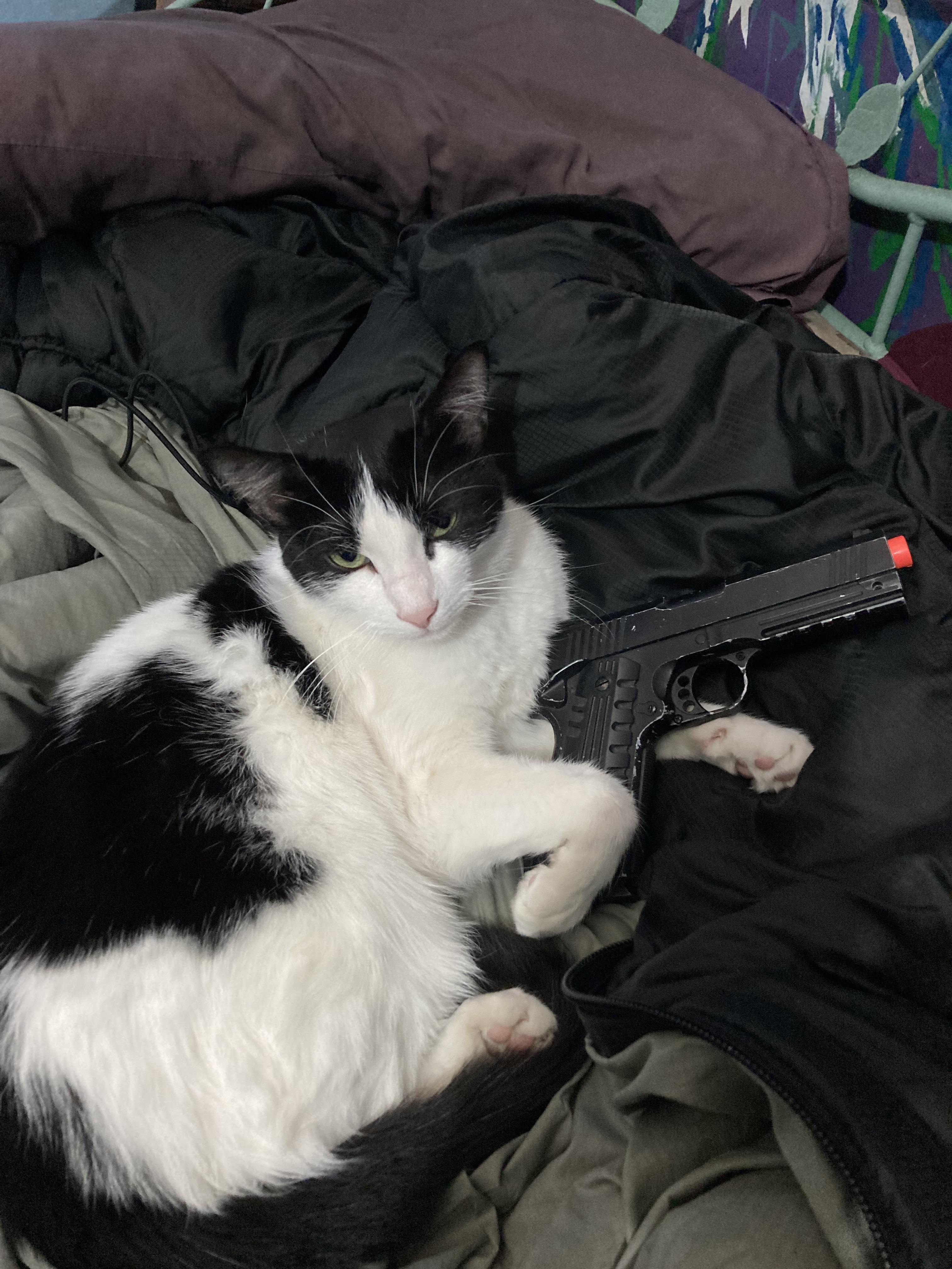 Four years ago(ish), i posted here for the first time. so here is a long overdue follow-up ...