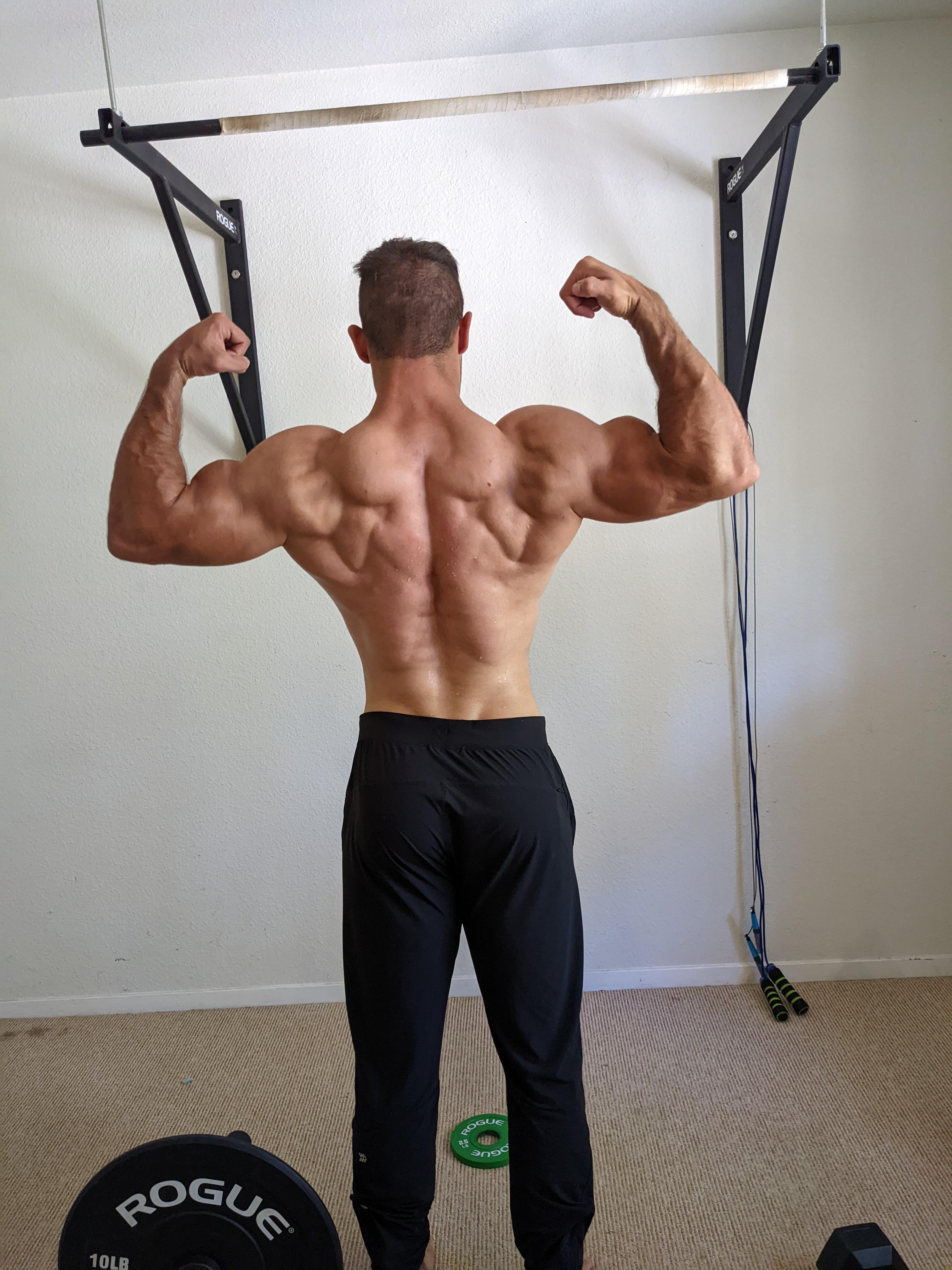 Back Musculature Progression | Scrolller