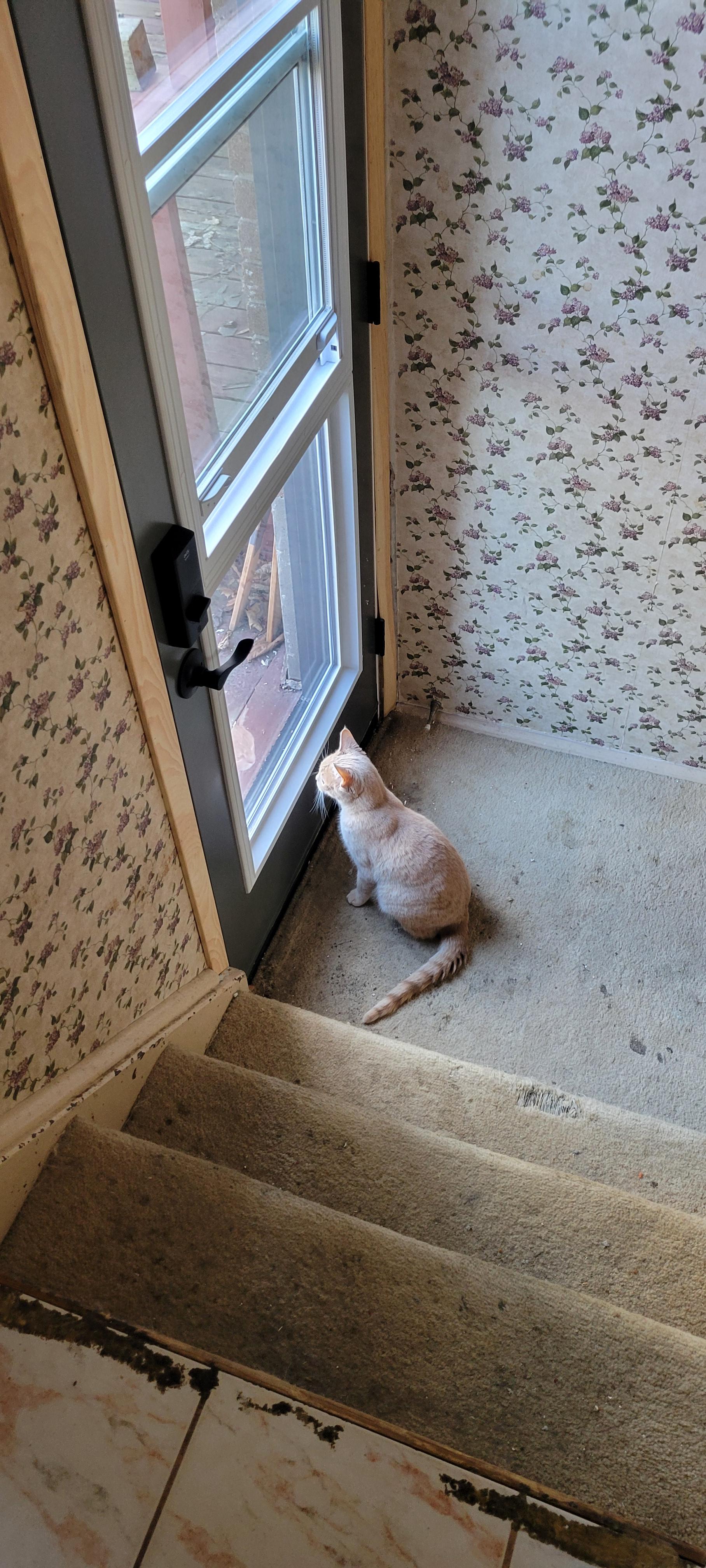 We installed new doors | Scrolller