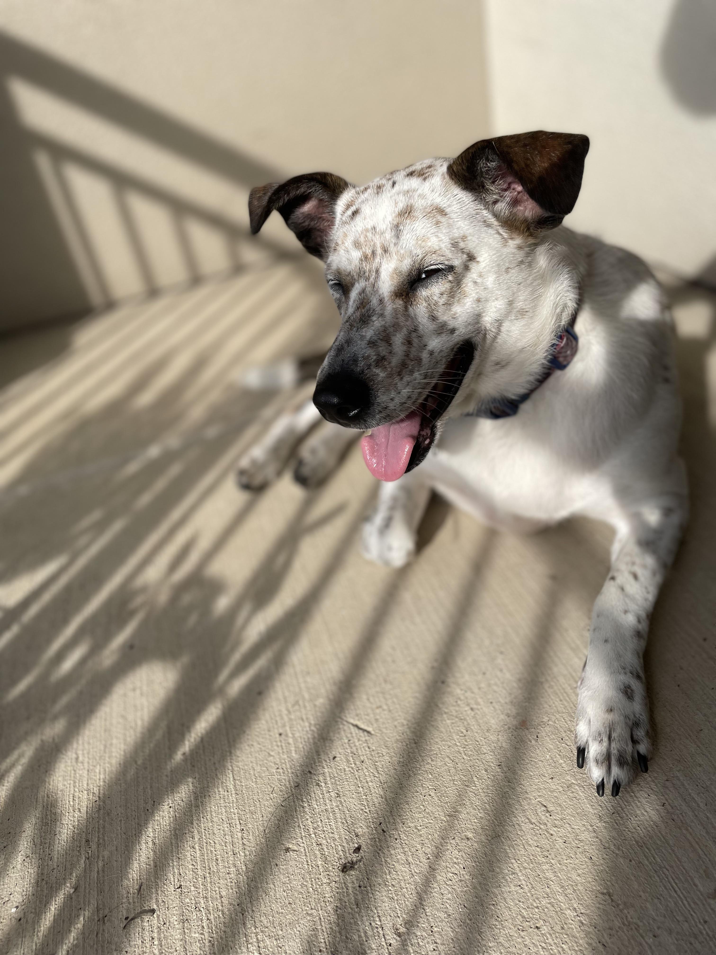 Finally got enough karma to post and am rly excited to share these ...