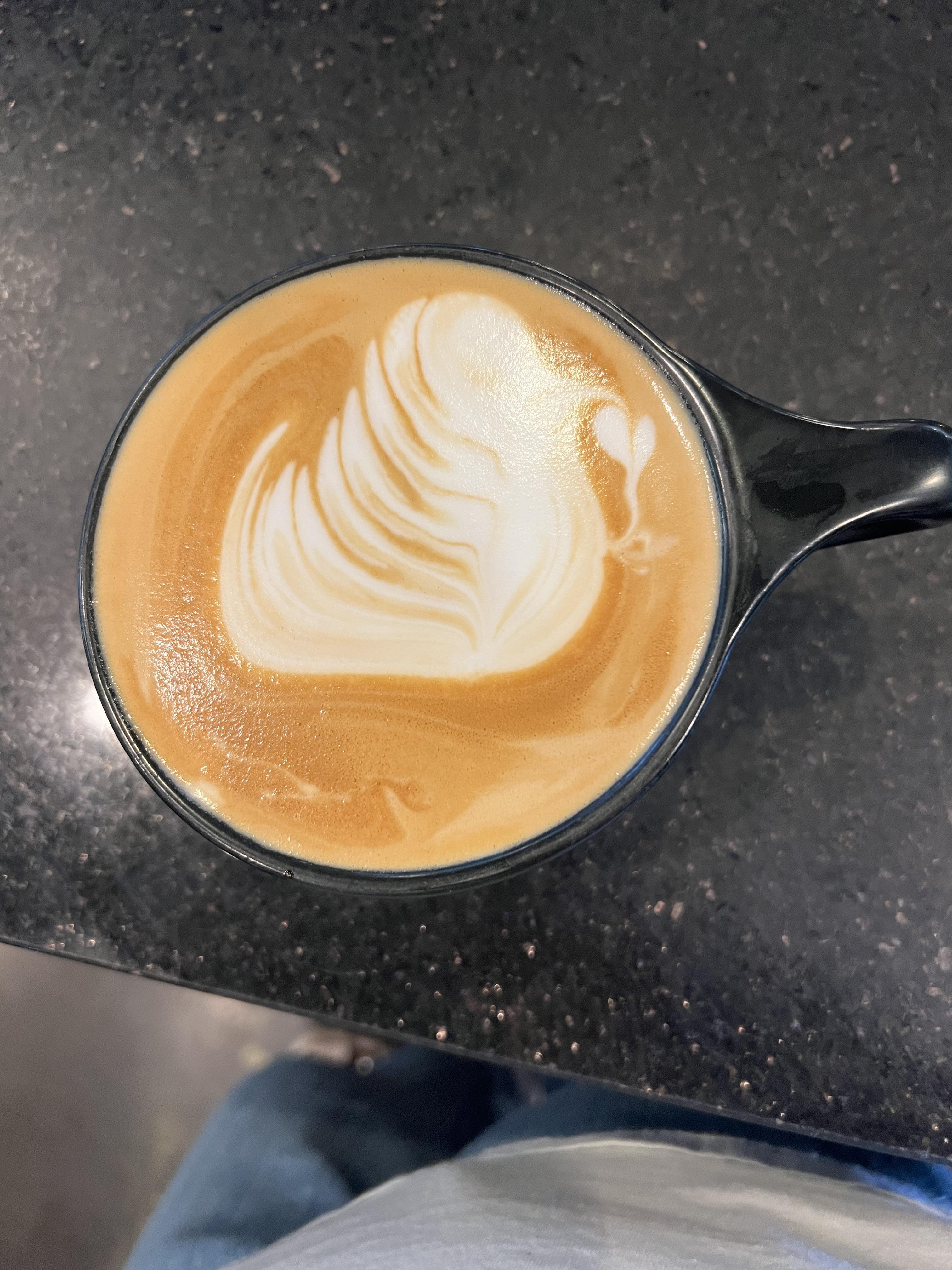 Chunky swans 🤩 | Scrolller