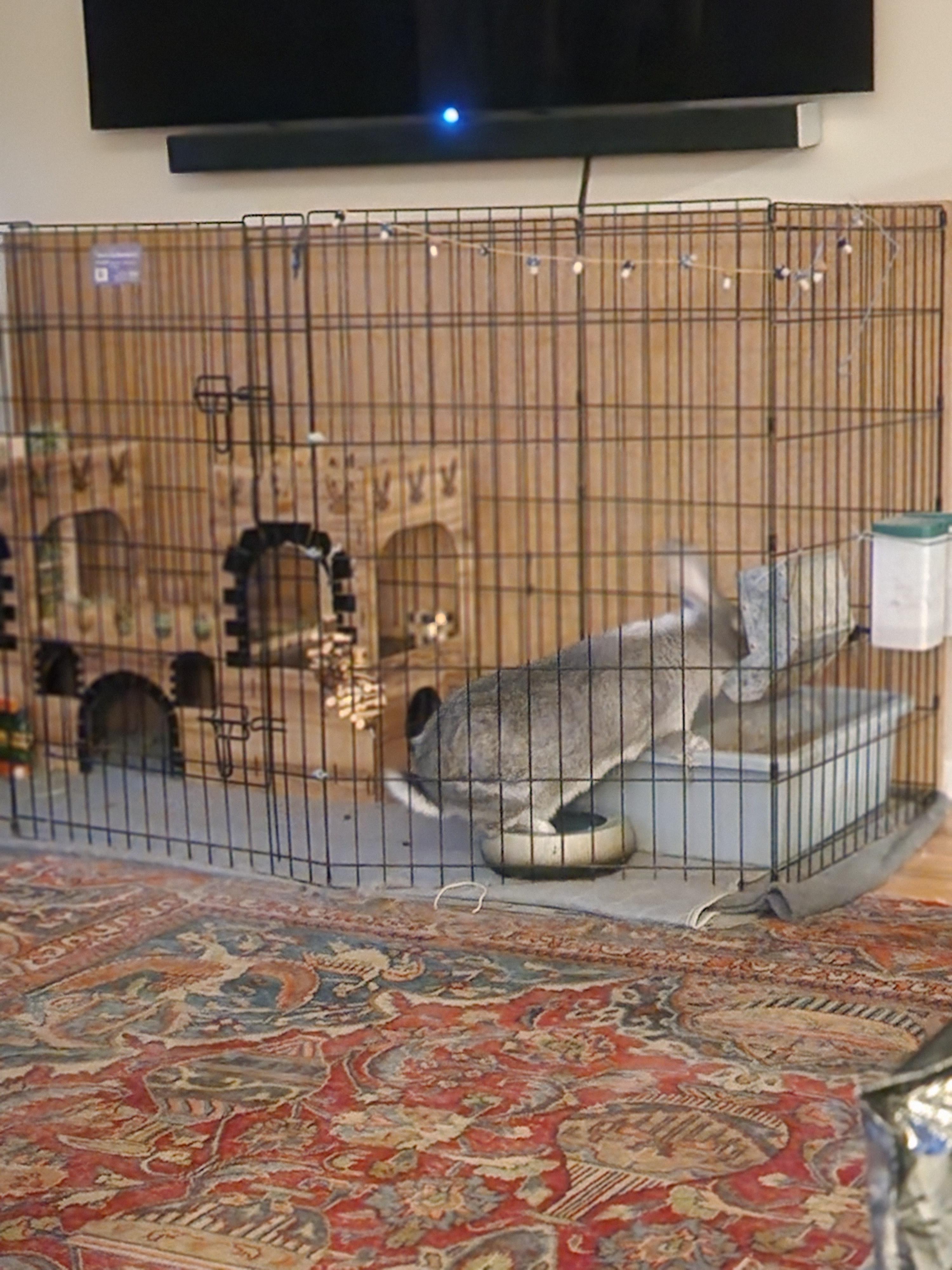 🤪🤷 balancing act | Scrolller