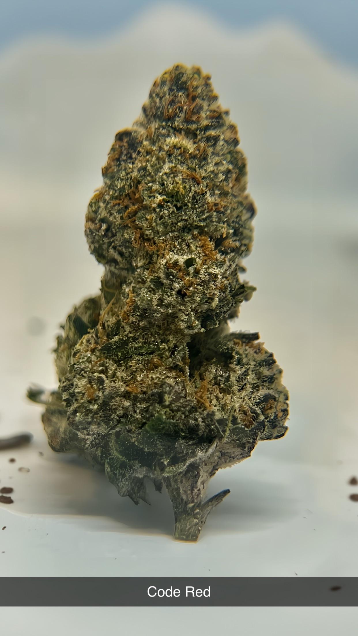 Any tips? | Scrolller