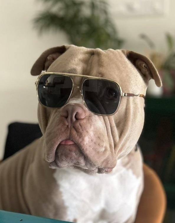 Show me your Derps 👅 | Scrolller