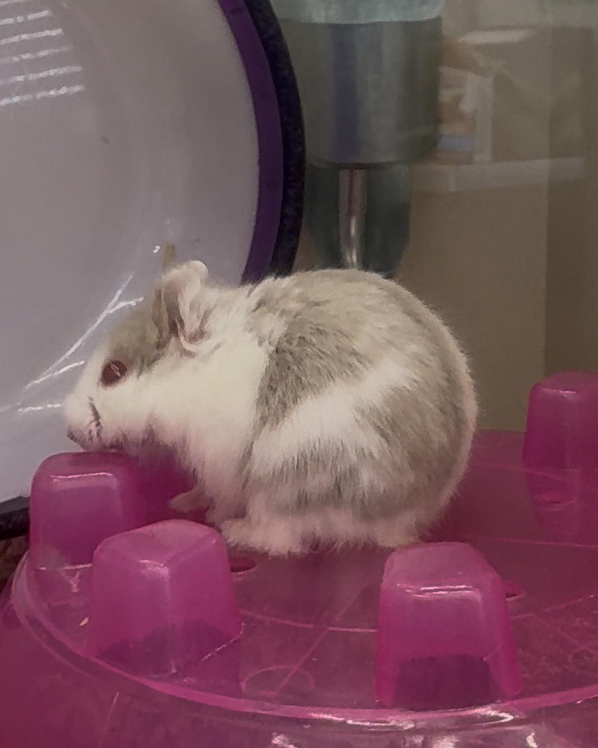 Species? | Scrolller