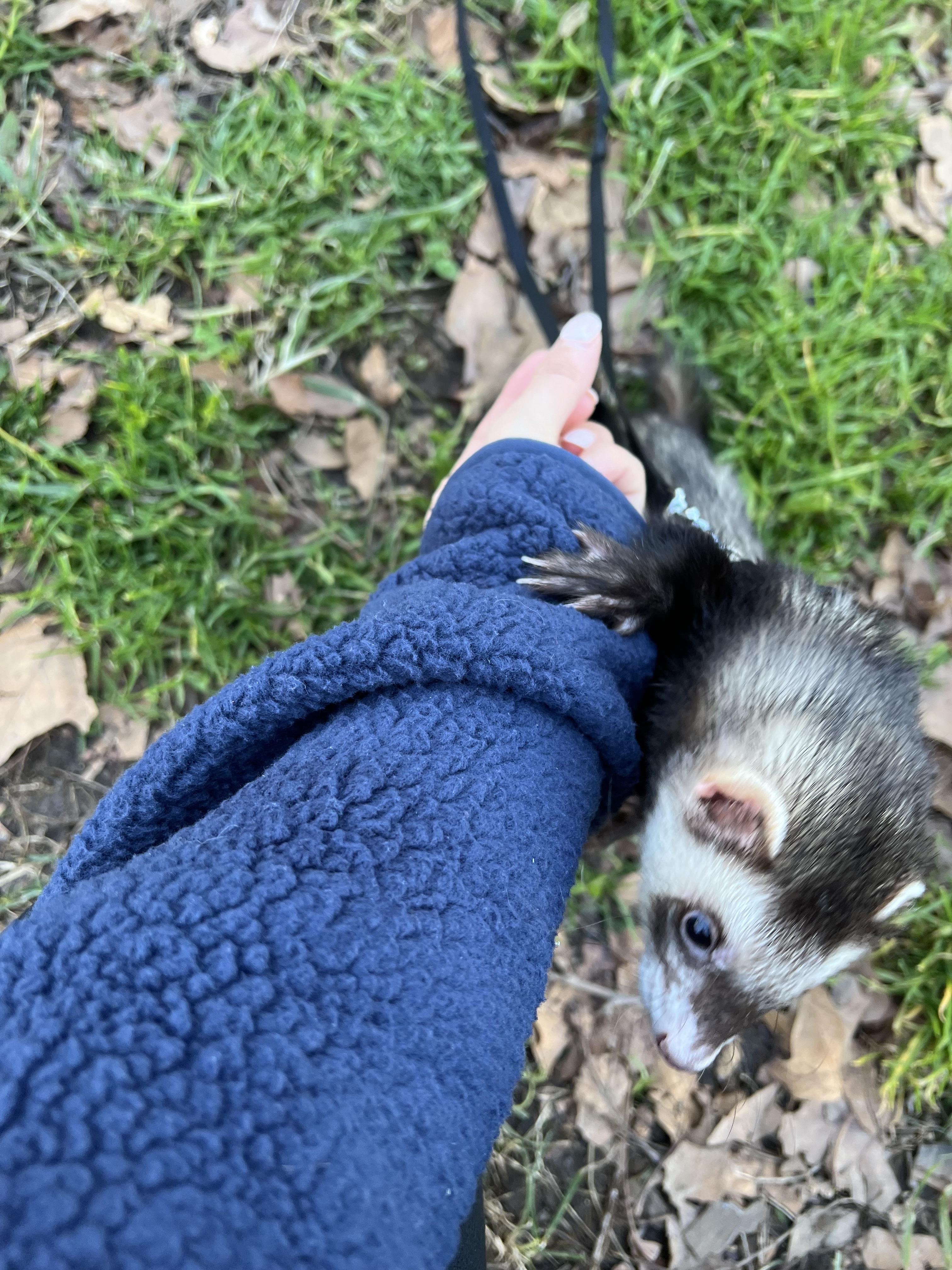 Happy Birthday, Bobby!! | Scrolller