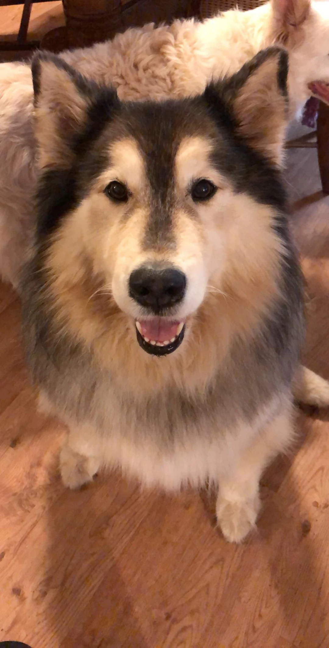 Eleanor is always smiling | Scrolller