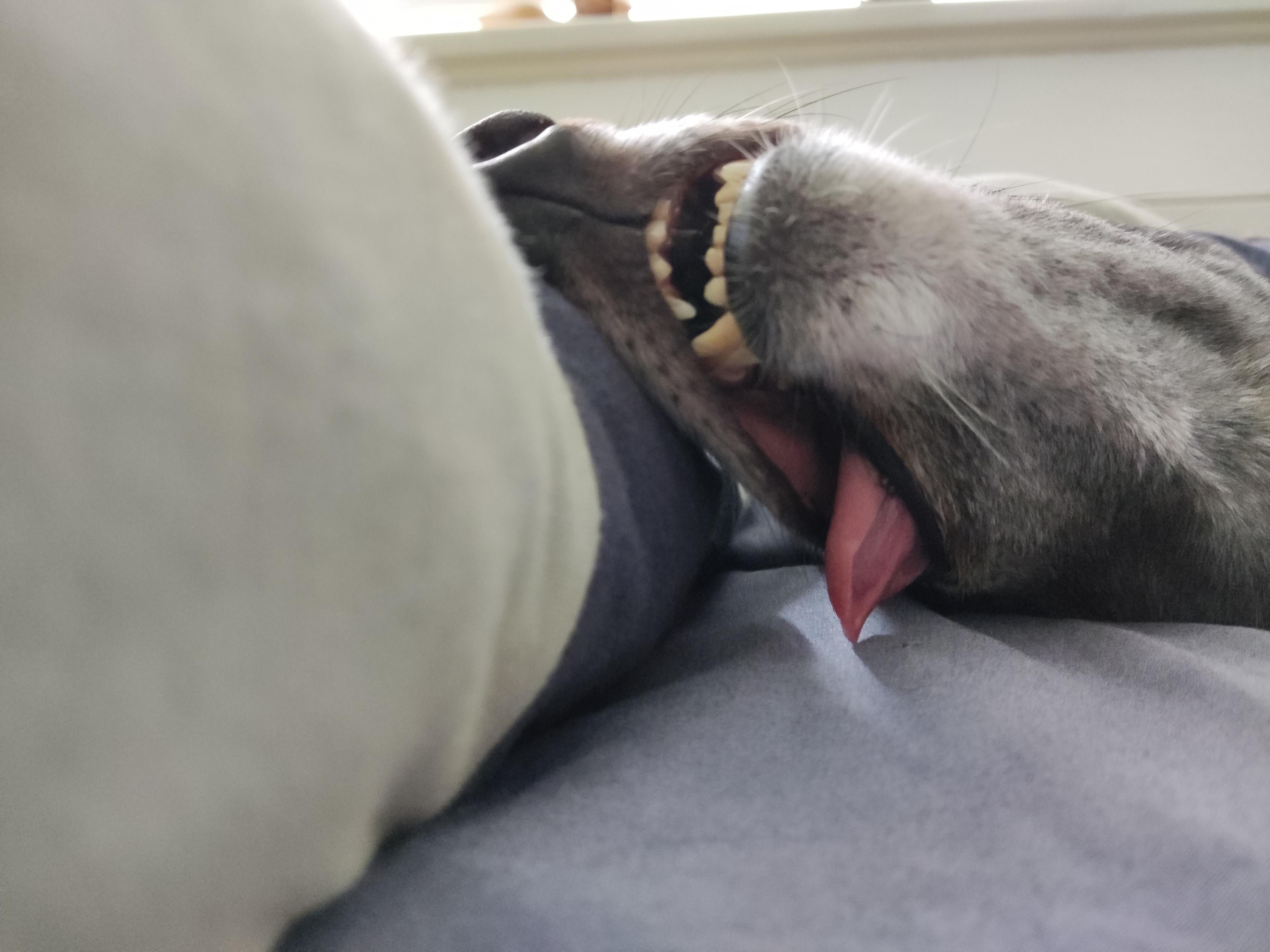 I assure you, she is not dead | Scrolller