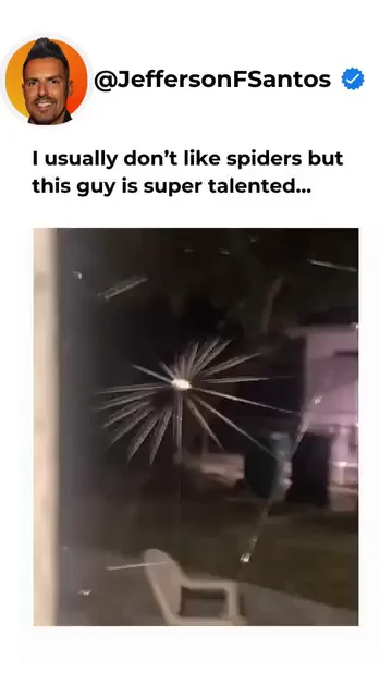 Spider Web In The Making | Scrolller