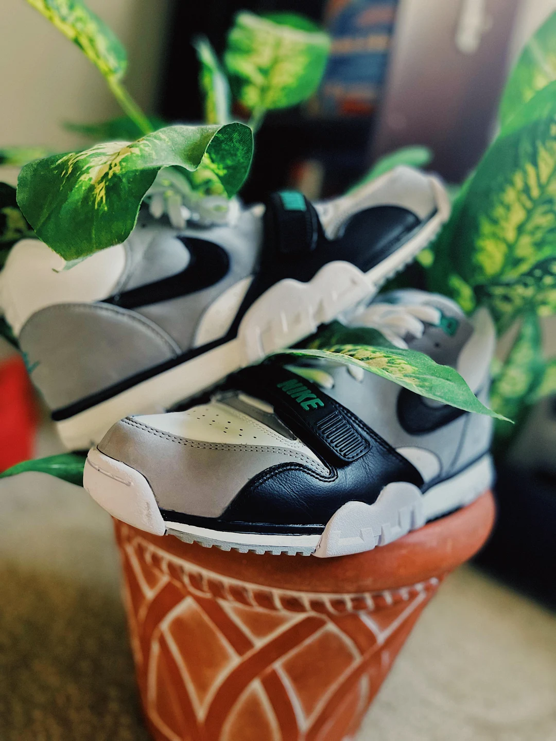 🍃 Finally. | Scrolller