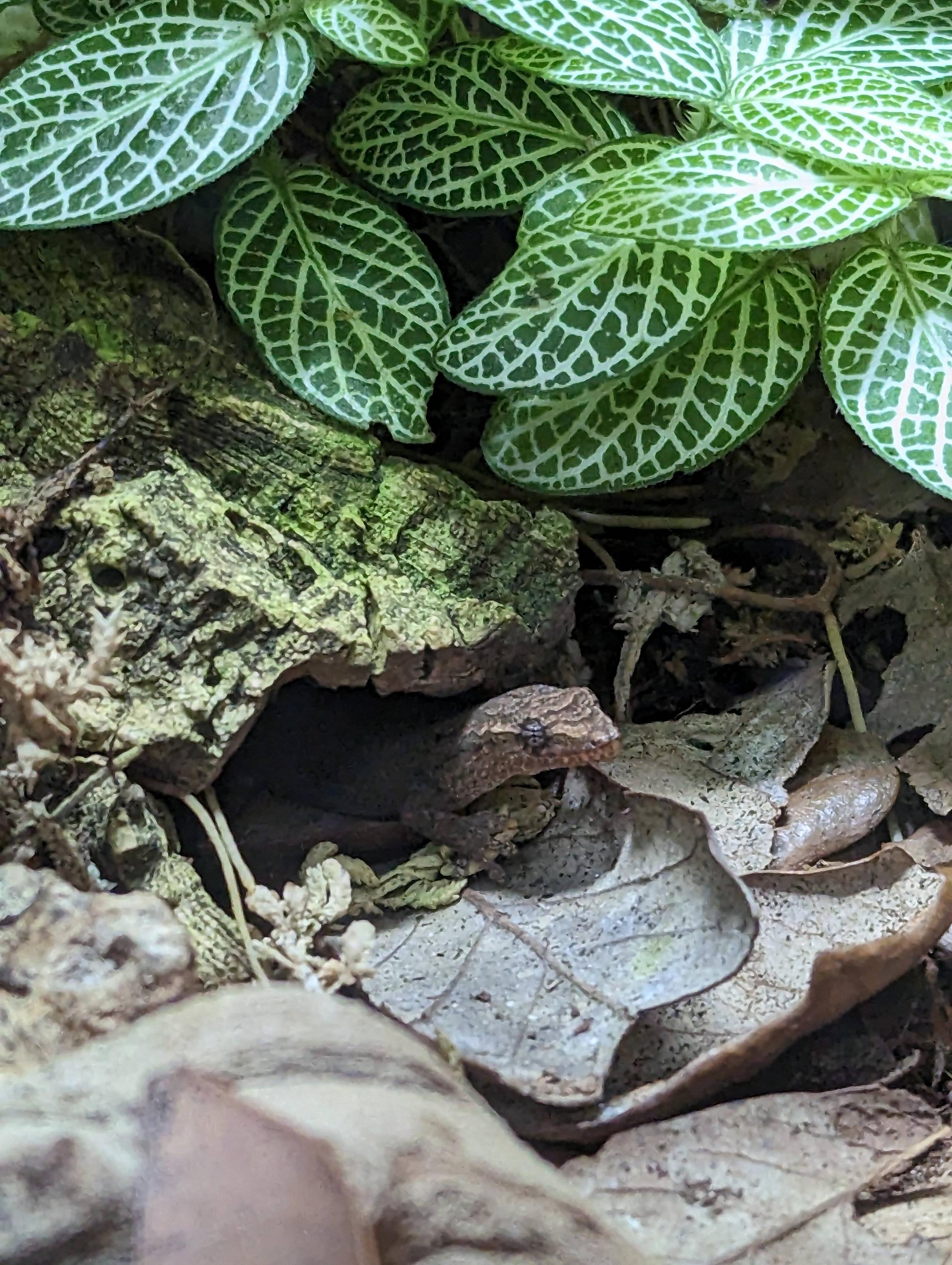 Love her pattern. | Scrolller