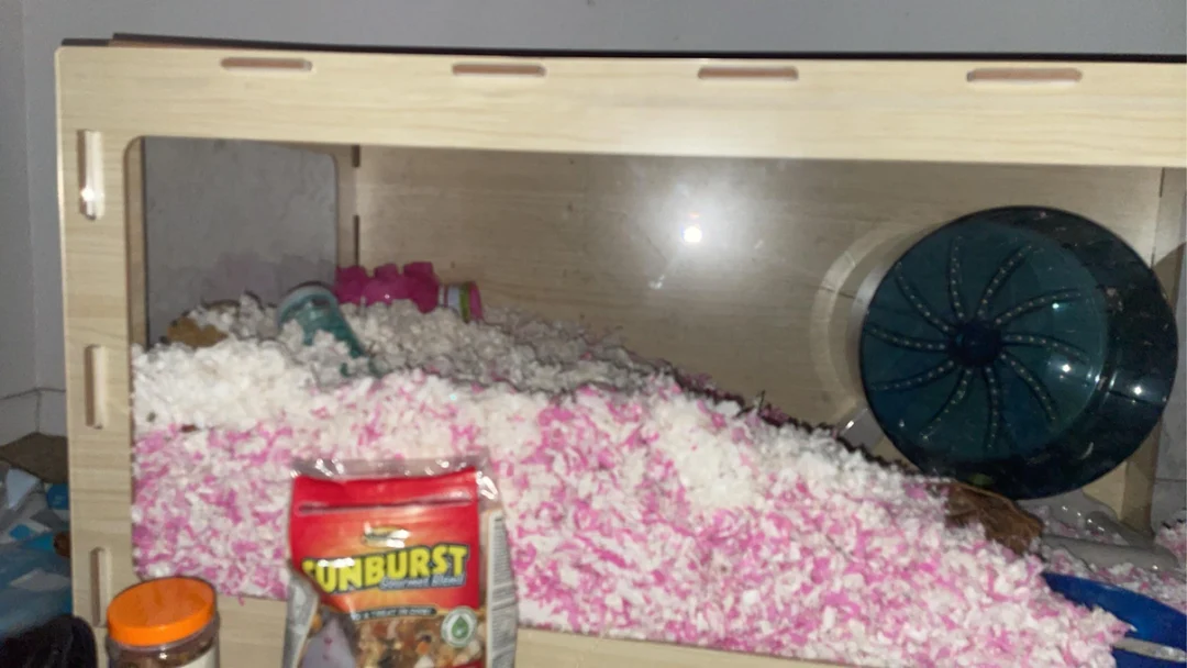 Links for extra clutter/enrichment to add in enclosure | Scrolller