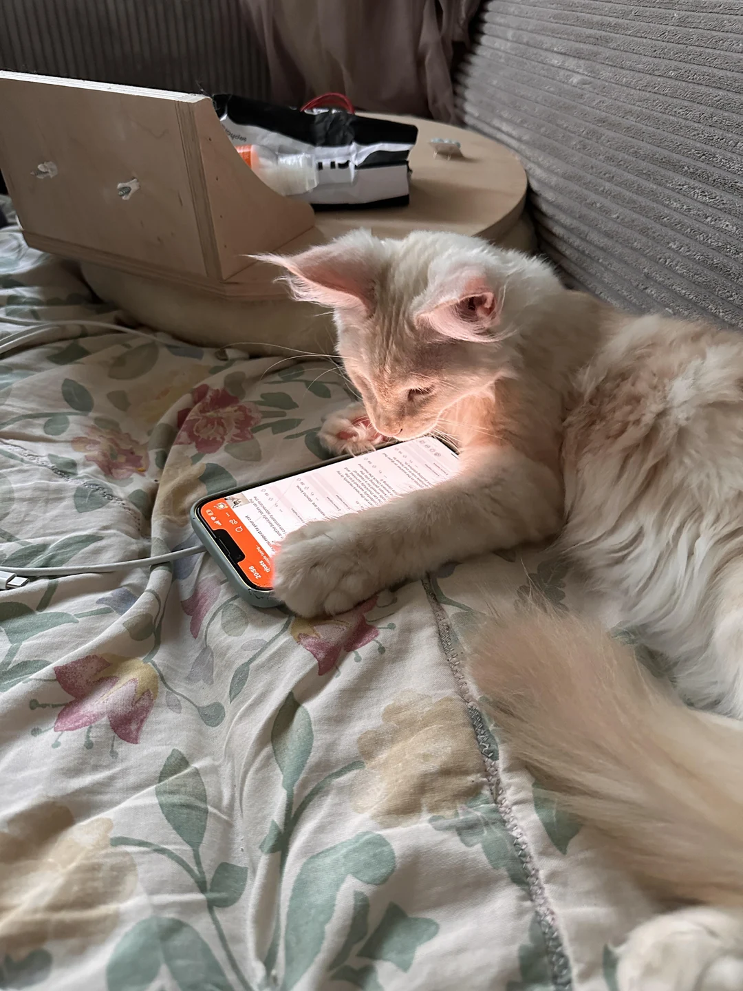 Learning to read on reddit. | Scrolller