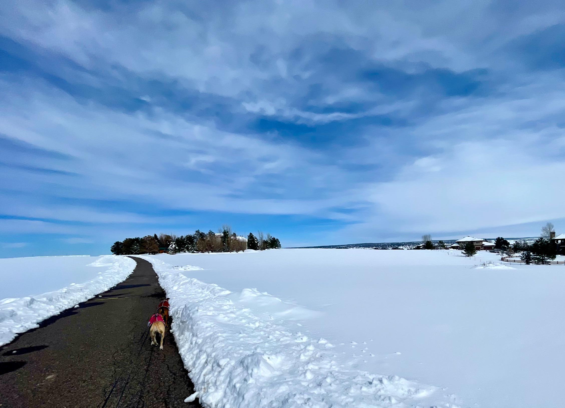 Discover more like Winterporn: Headed Back and Related Content | Scrolller