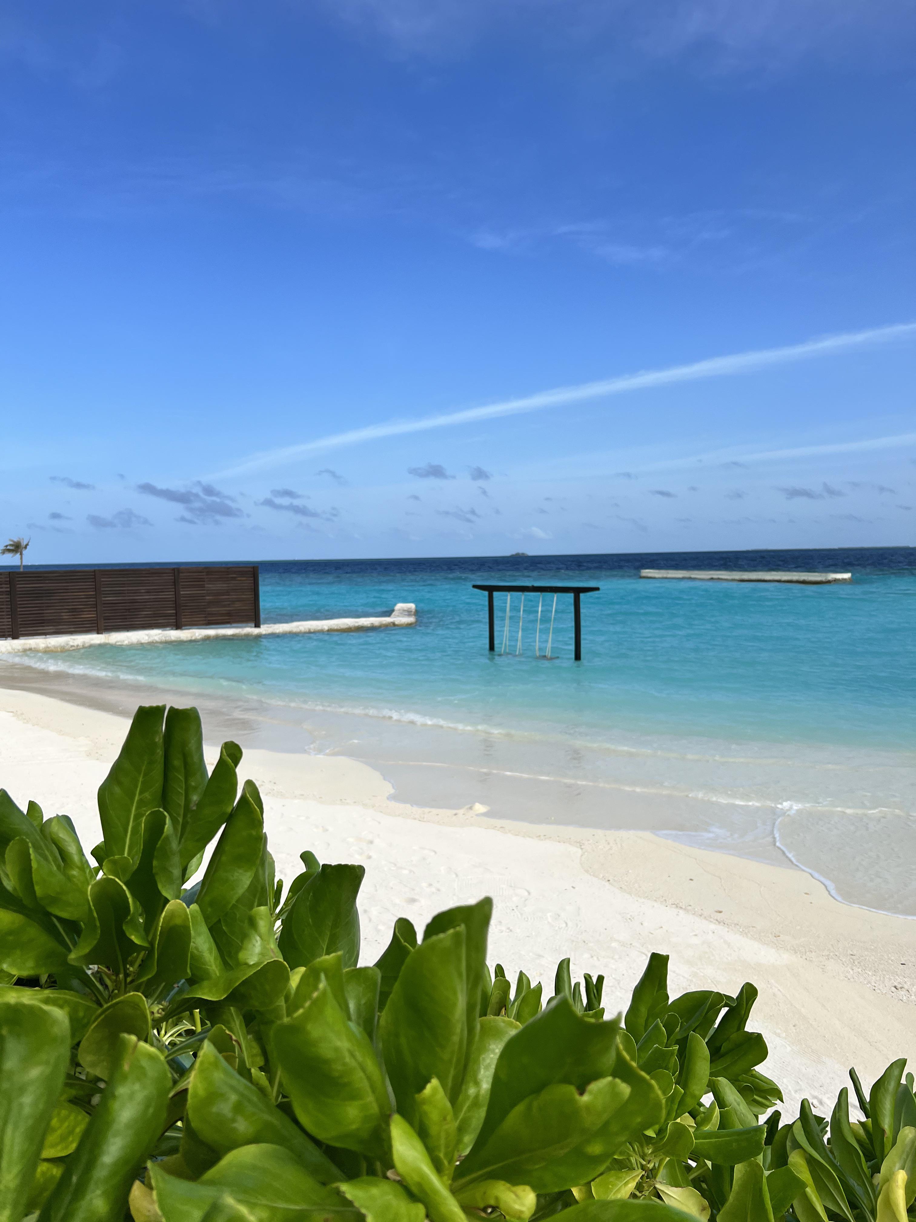 Beach in the Maldives | Scrolller