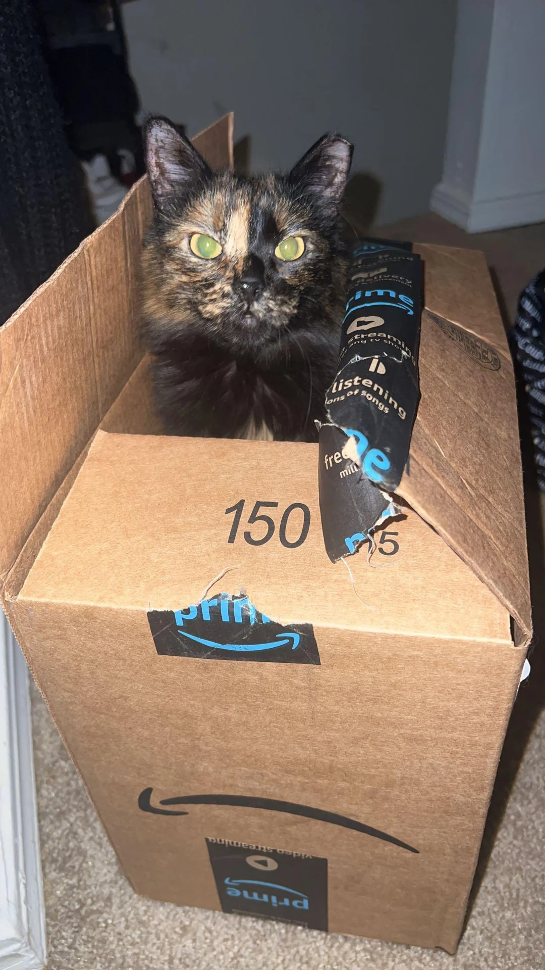 Special delivery !!! | Scrolller