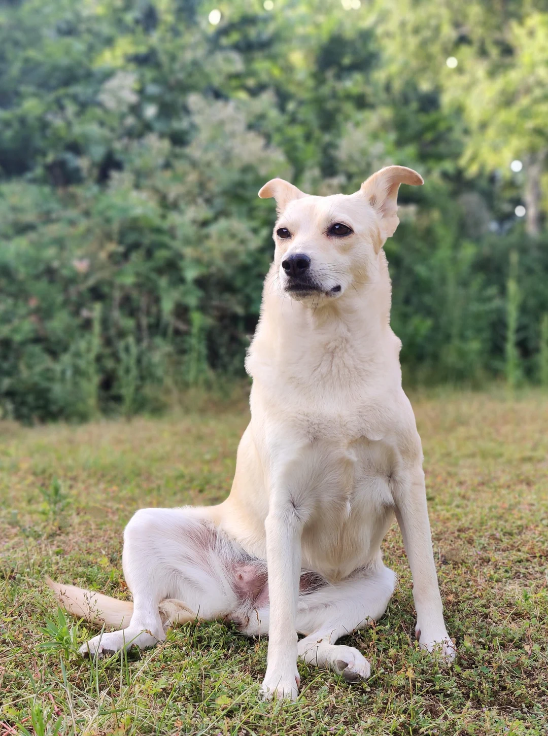 Delphi's a strange one, but she's a cutie | Scrolller