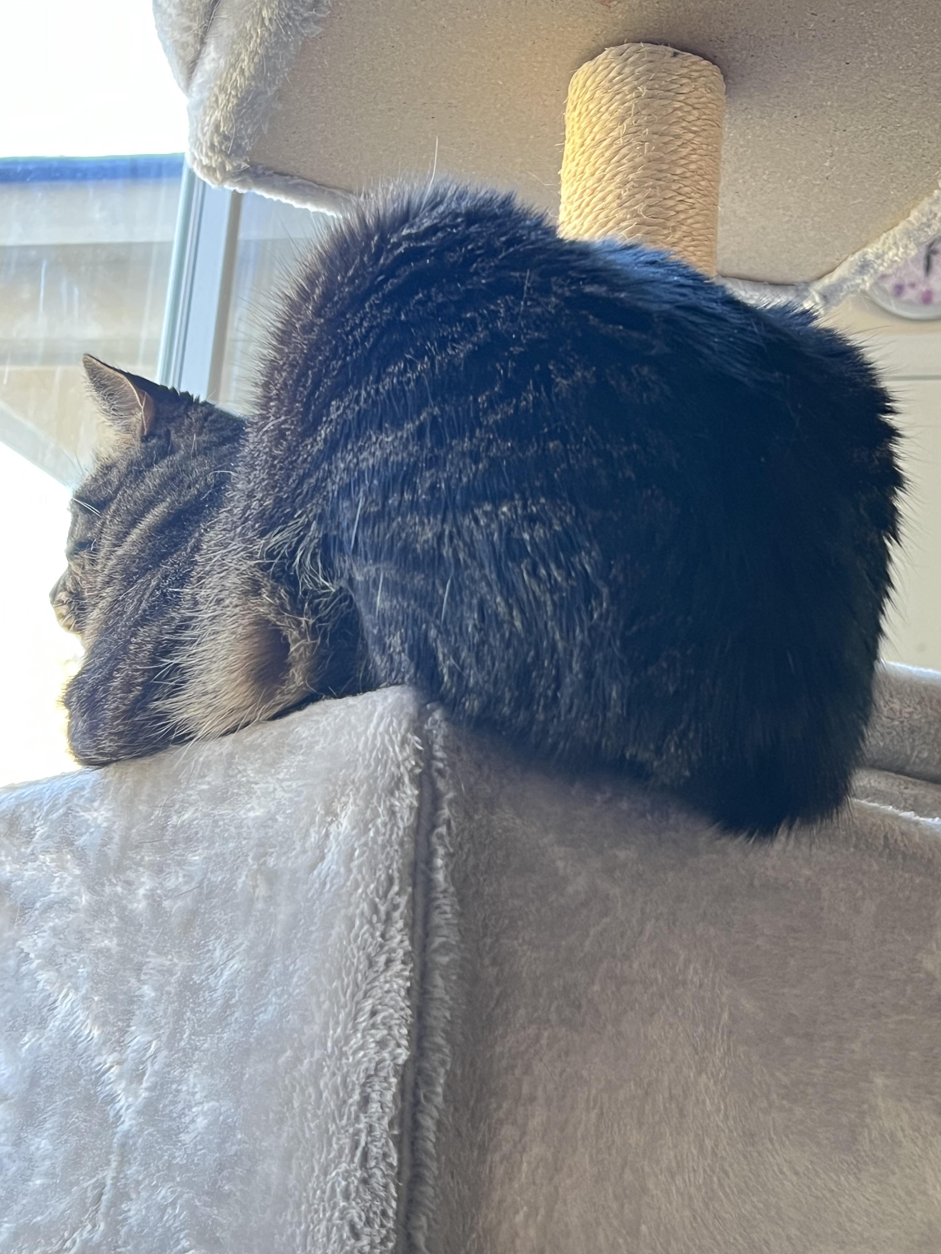 There’s a Steven loaf up there | Scrolller