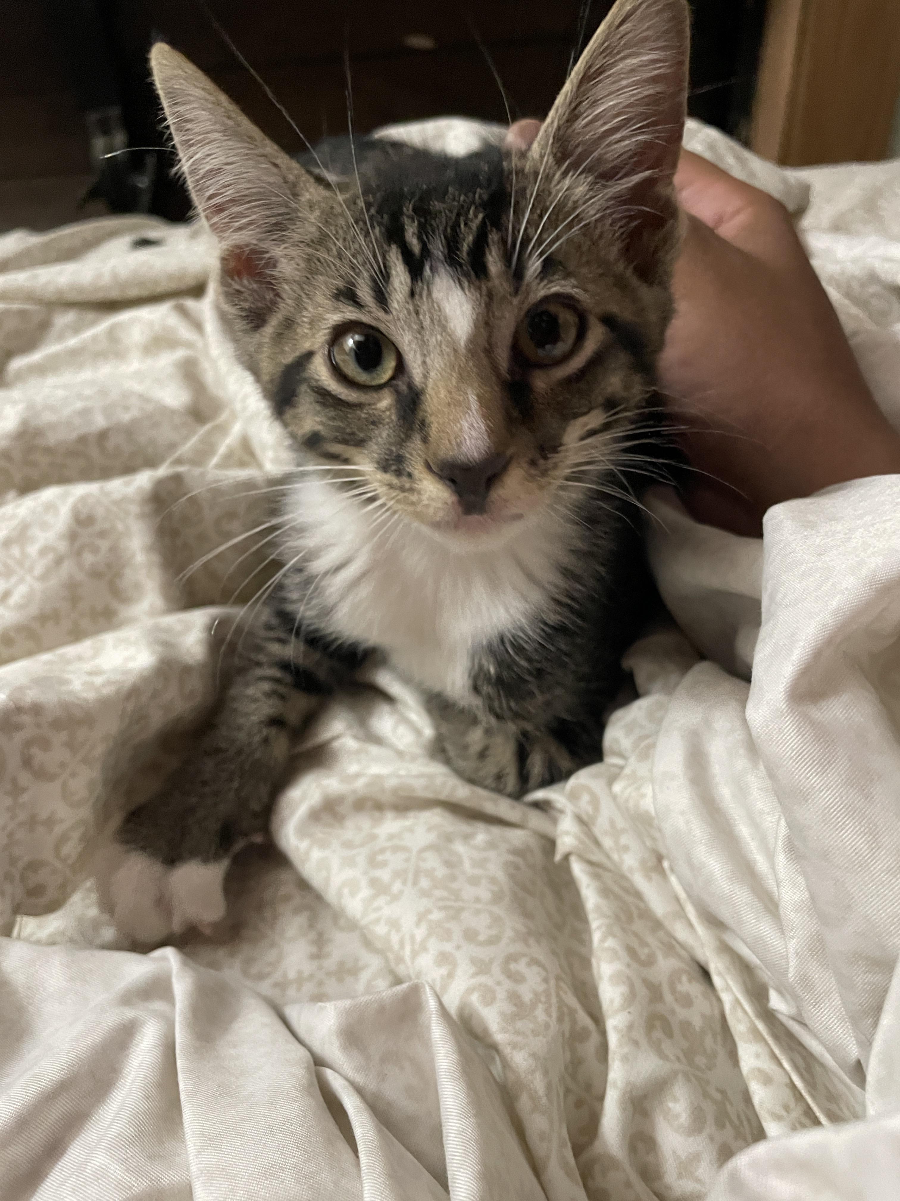 Marley💚 | Scrolller