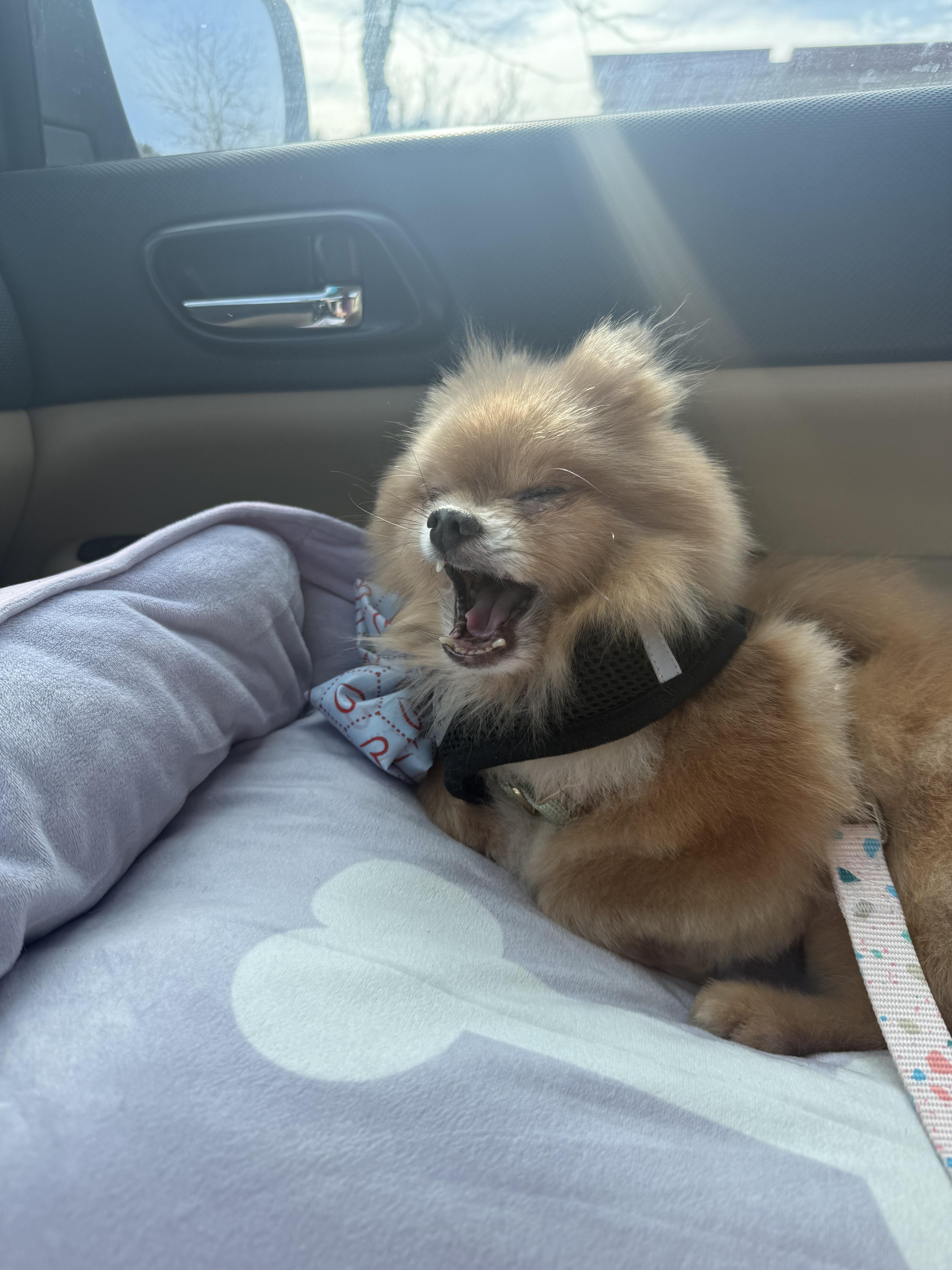 New baby just dropped | Scrolller