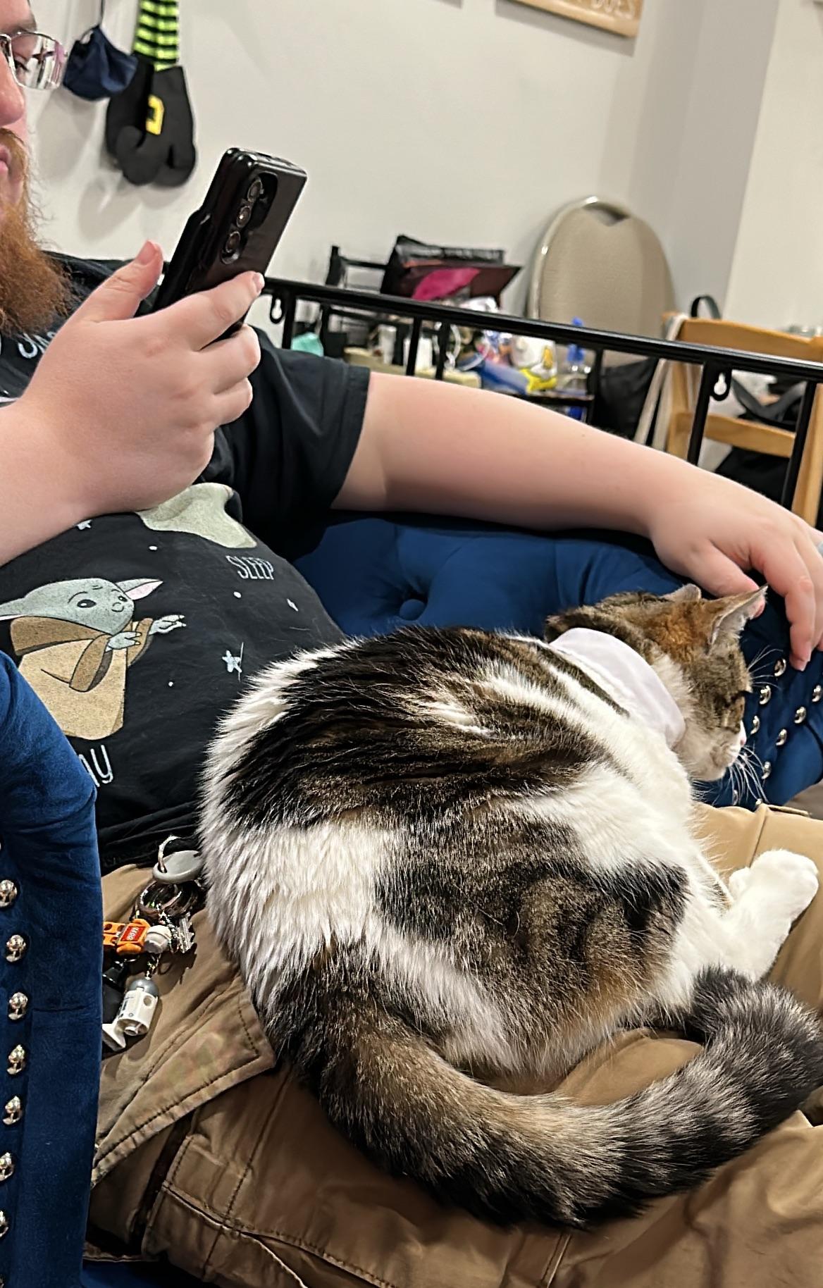 Binx with his daddy | Scrolller