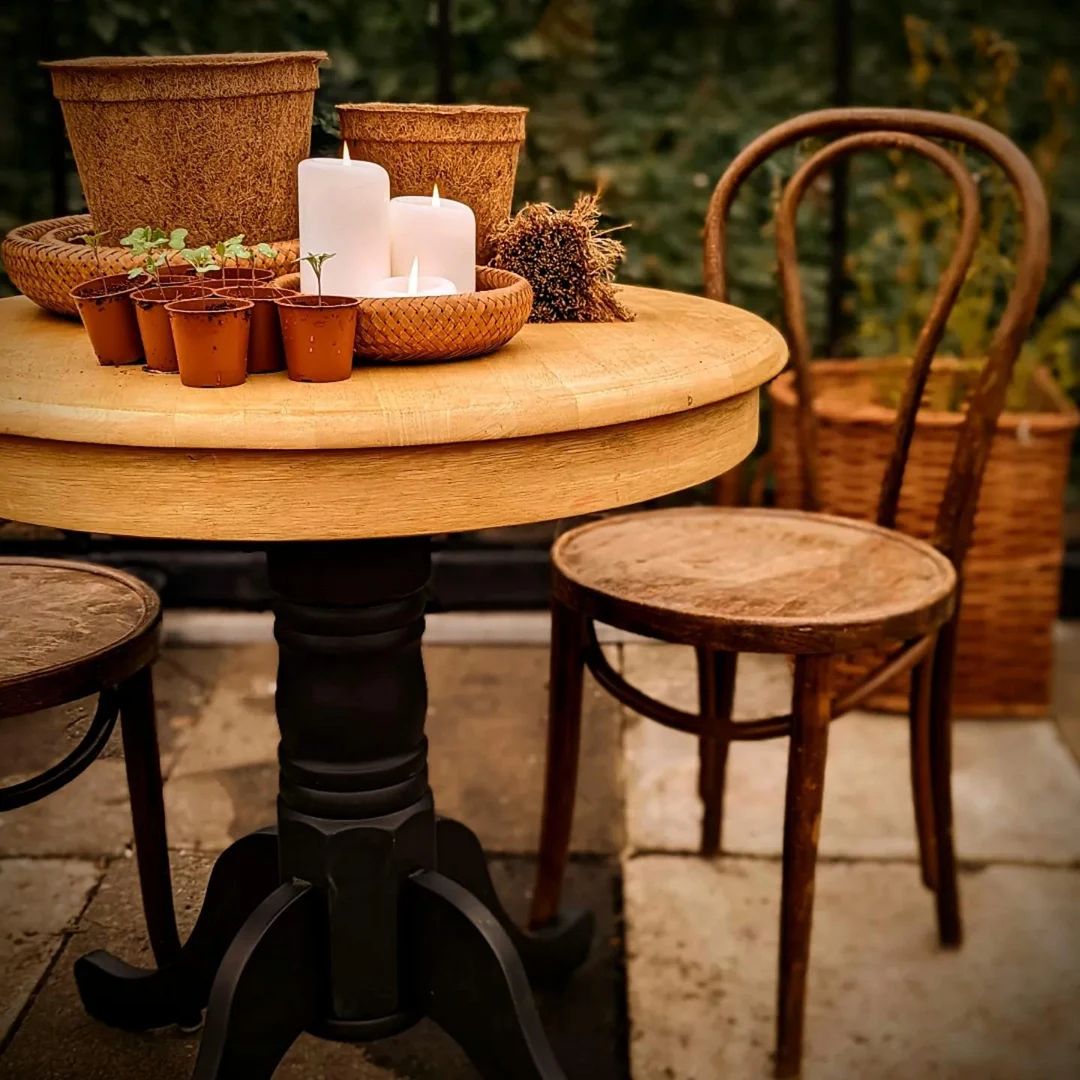 New life emerging 🌱 | Scrolller