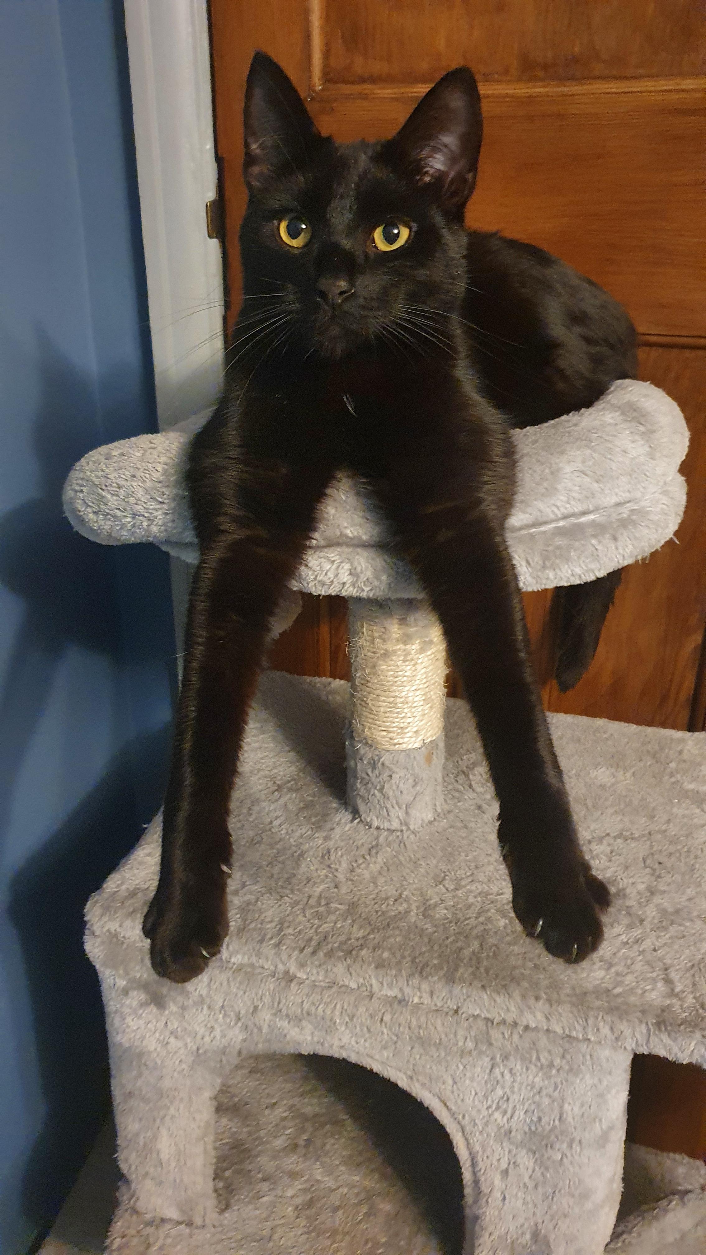 Long boy | Scrolller