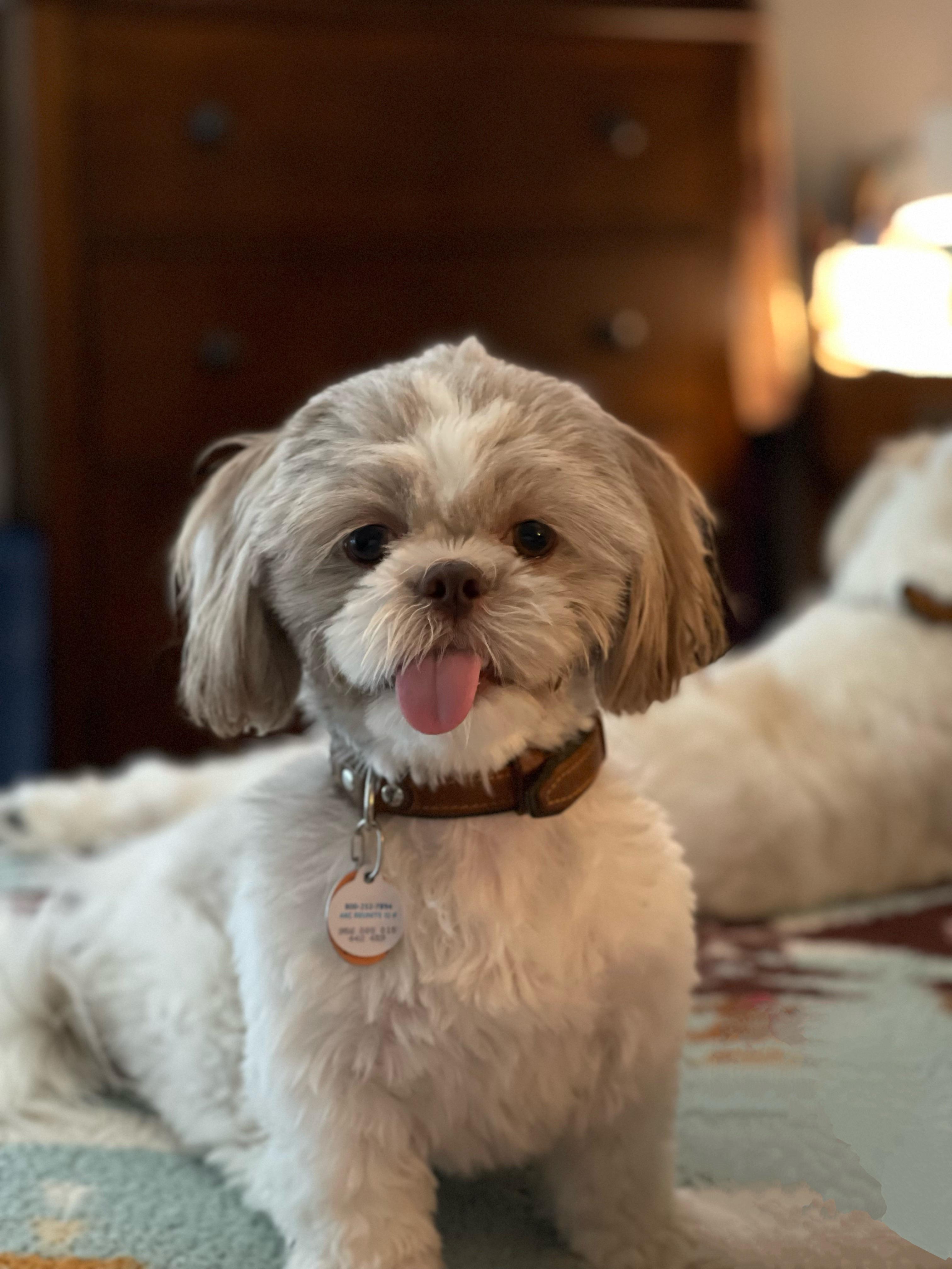 Ultimate “mlem” capture. | Scrolller