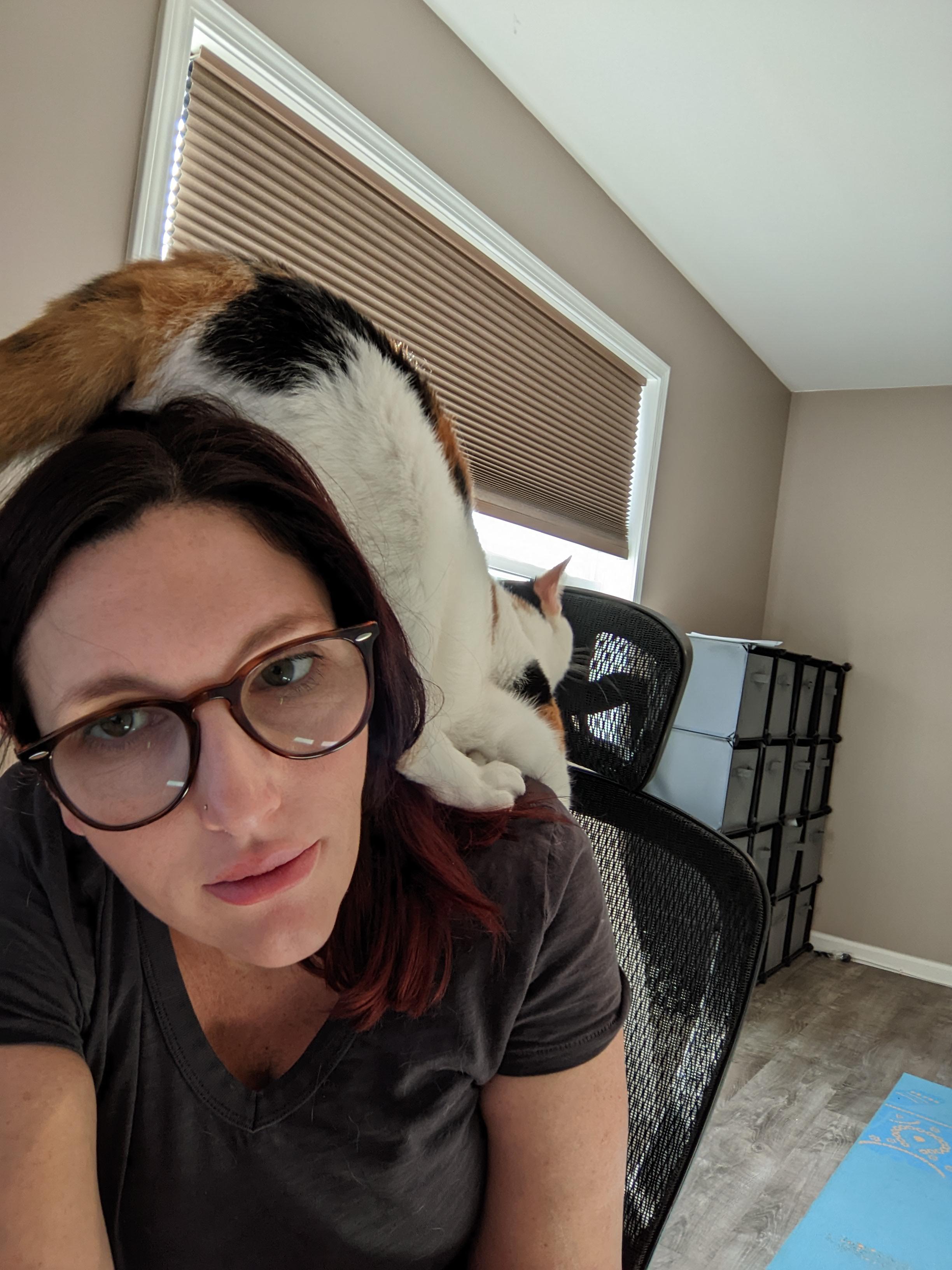 Sitting on my head has become a regular hostage situation... | Scrolller