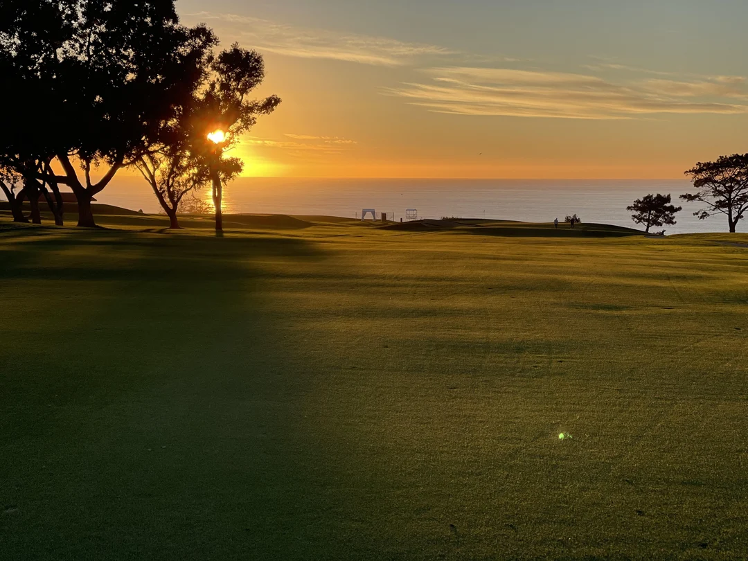 First ever pitch in! | Scrolller