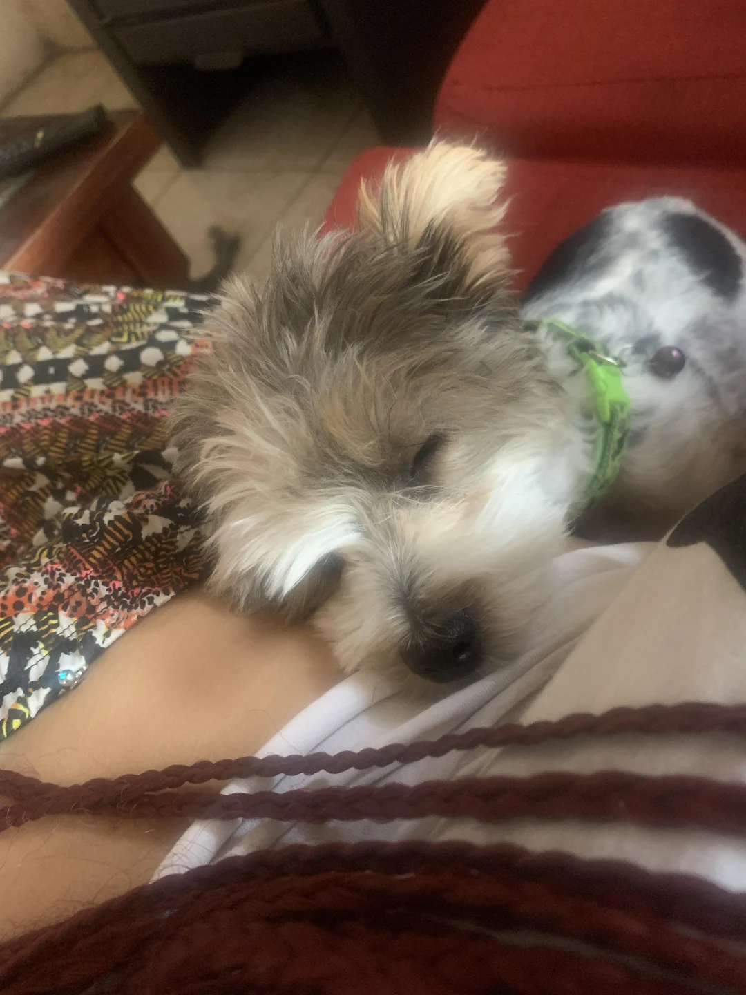 Sleepy baby | Scrolller