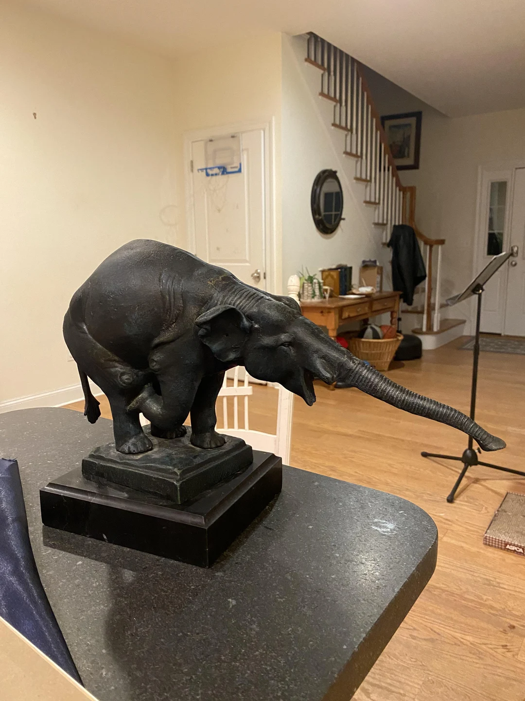 What is this elephant? | Scrolller