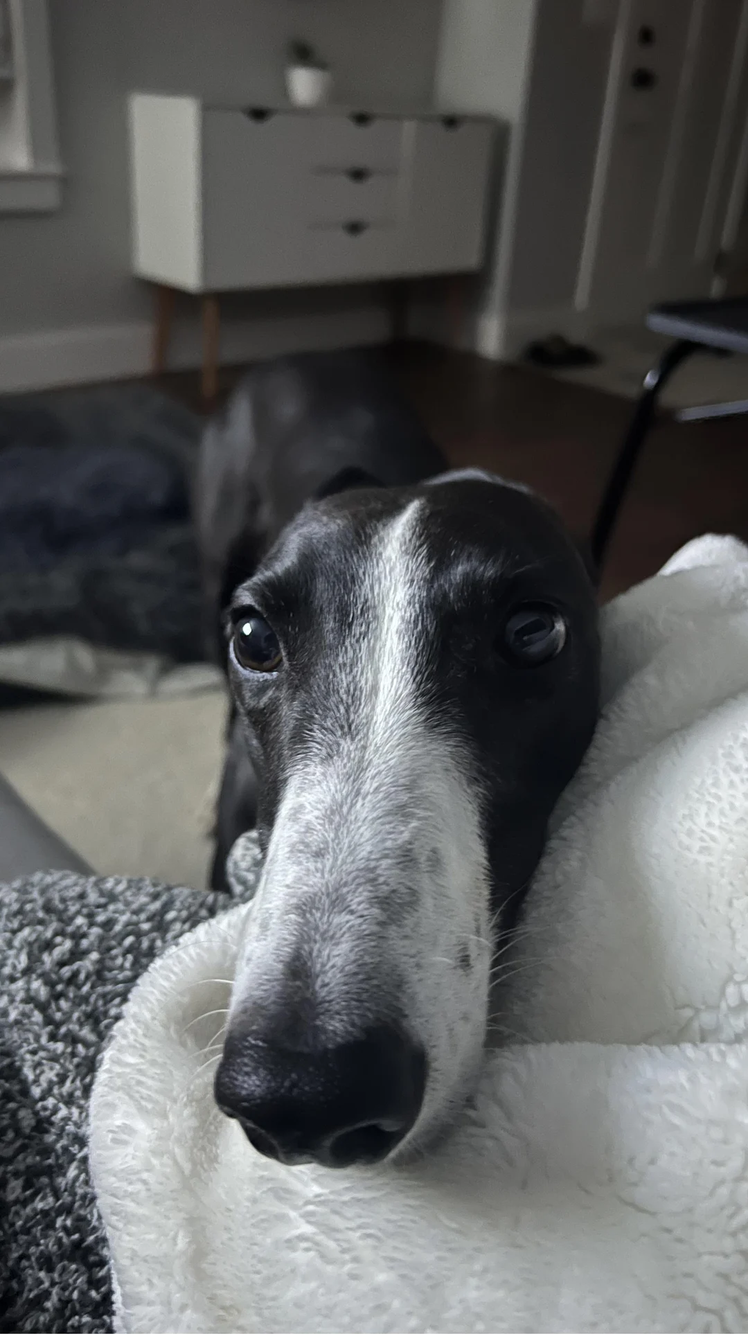 When is bedtime - Jill at 5pm | Scrolller