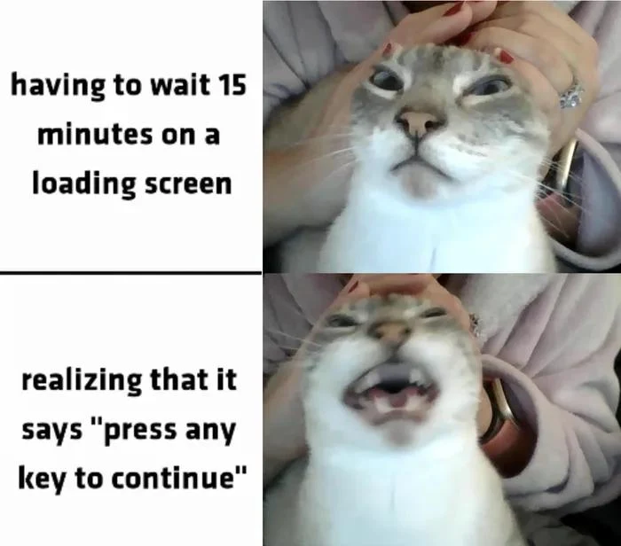cat loading screen Where the fuck is the ANY key | Scrolller