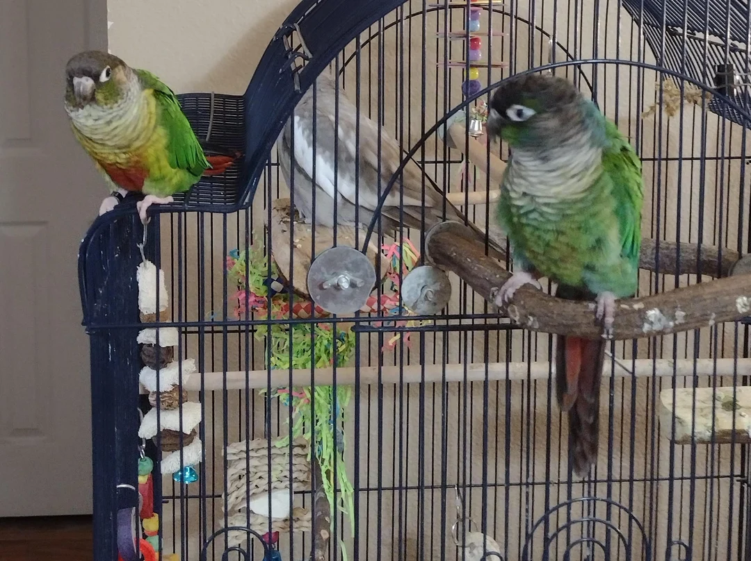 Tweak naps while his security demons stand guard. | Scrolller