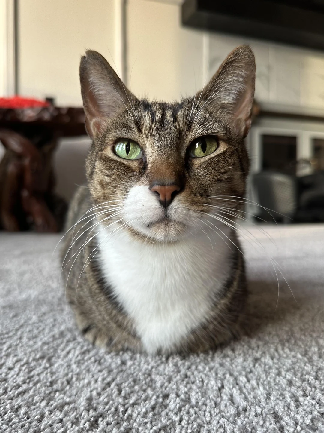 Noa's compact loaf | Scrolller