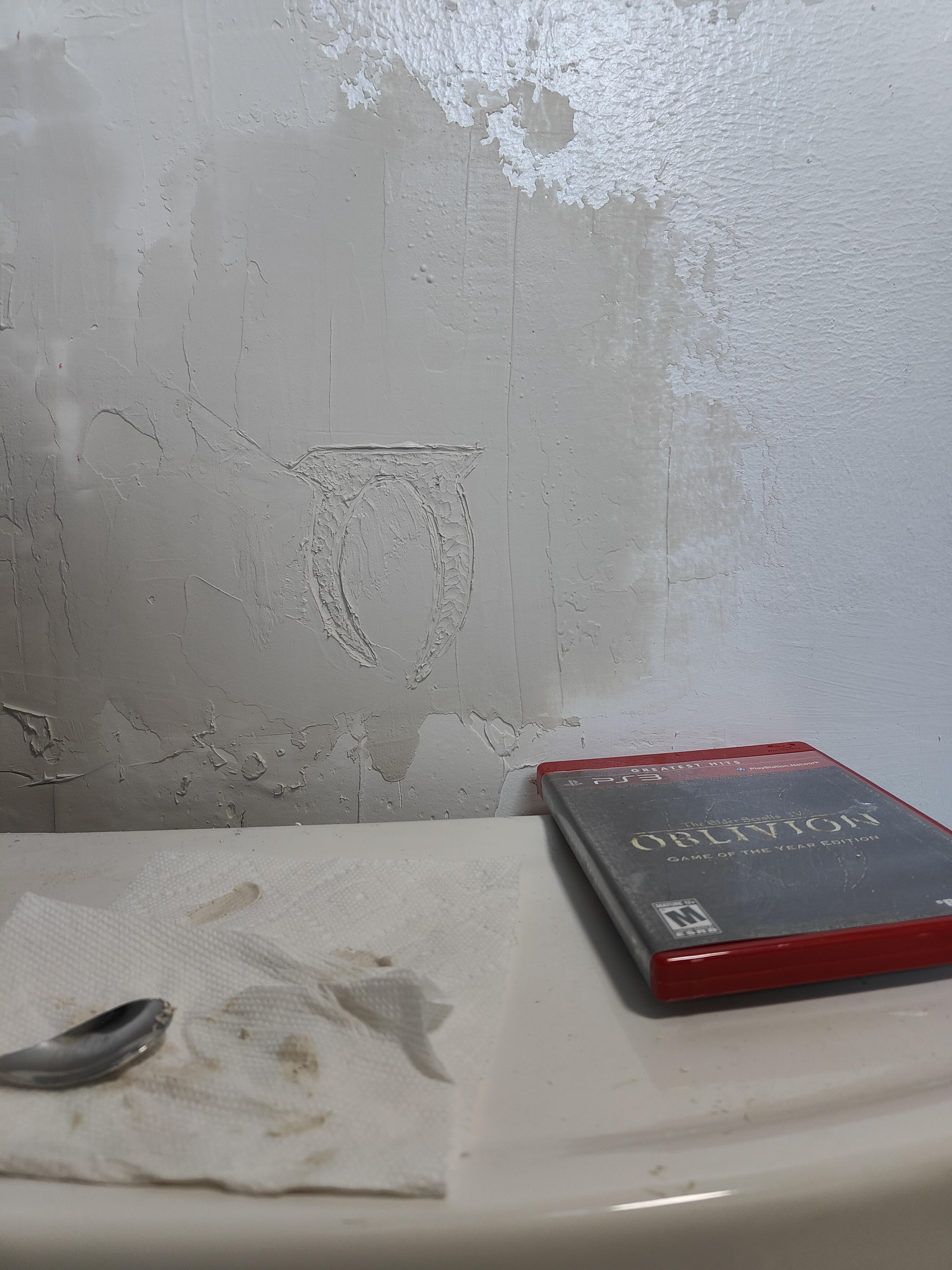 Attempting an Oblivion Gate over my toilet | Scrolller