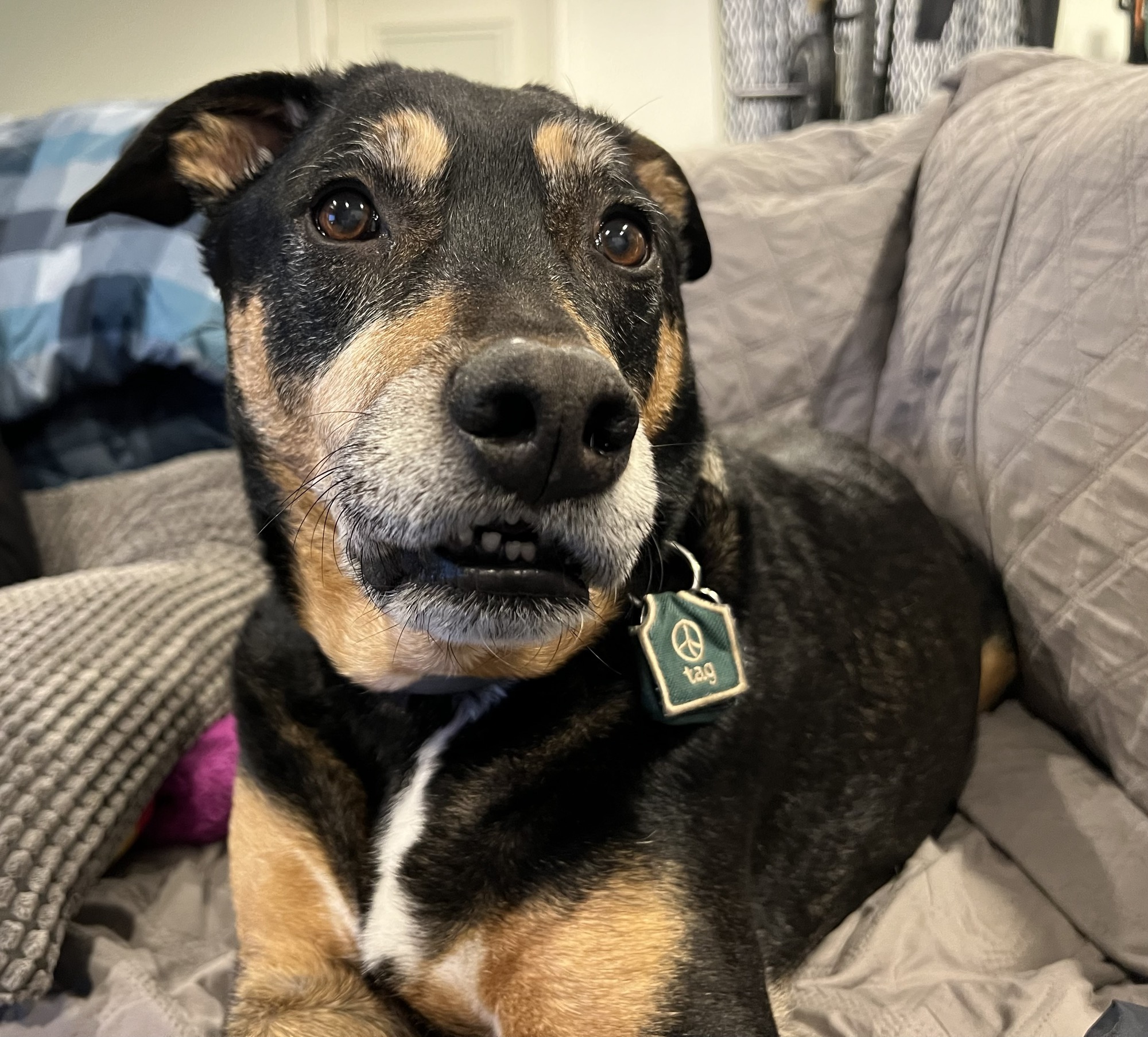 Interrupted mid-nibble | Scrolller