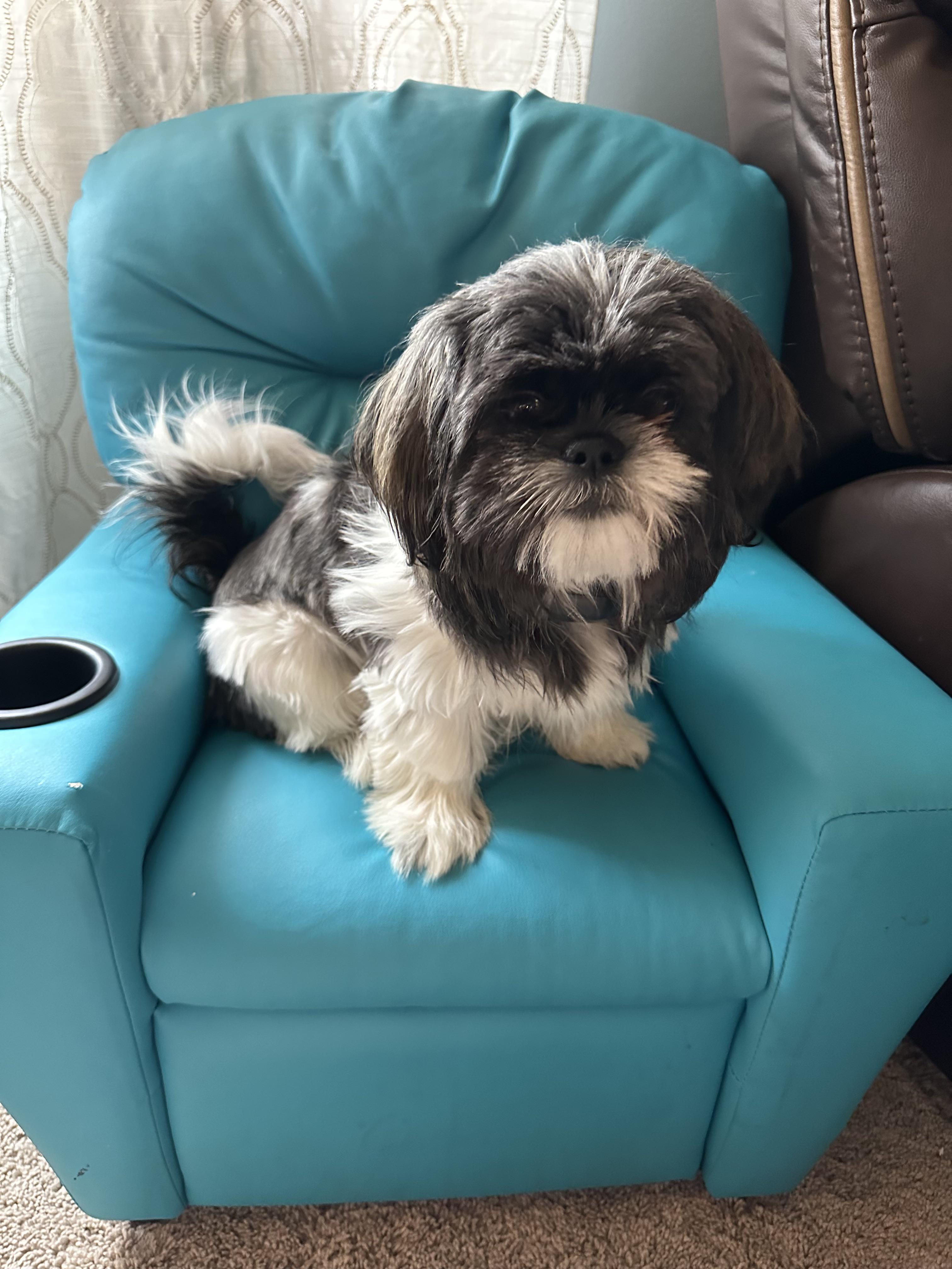 Commander Riker has the helm | Scrolller