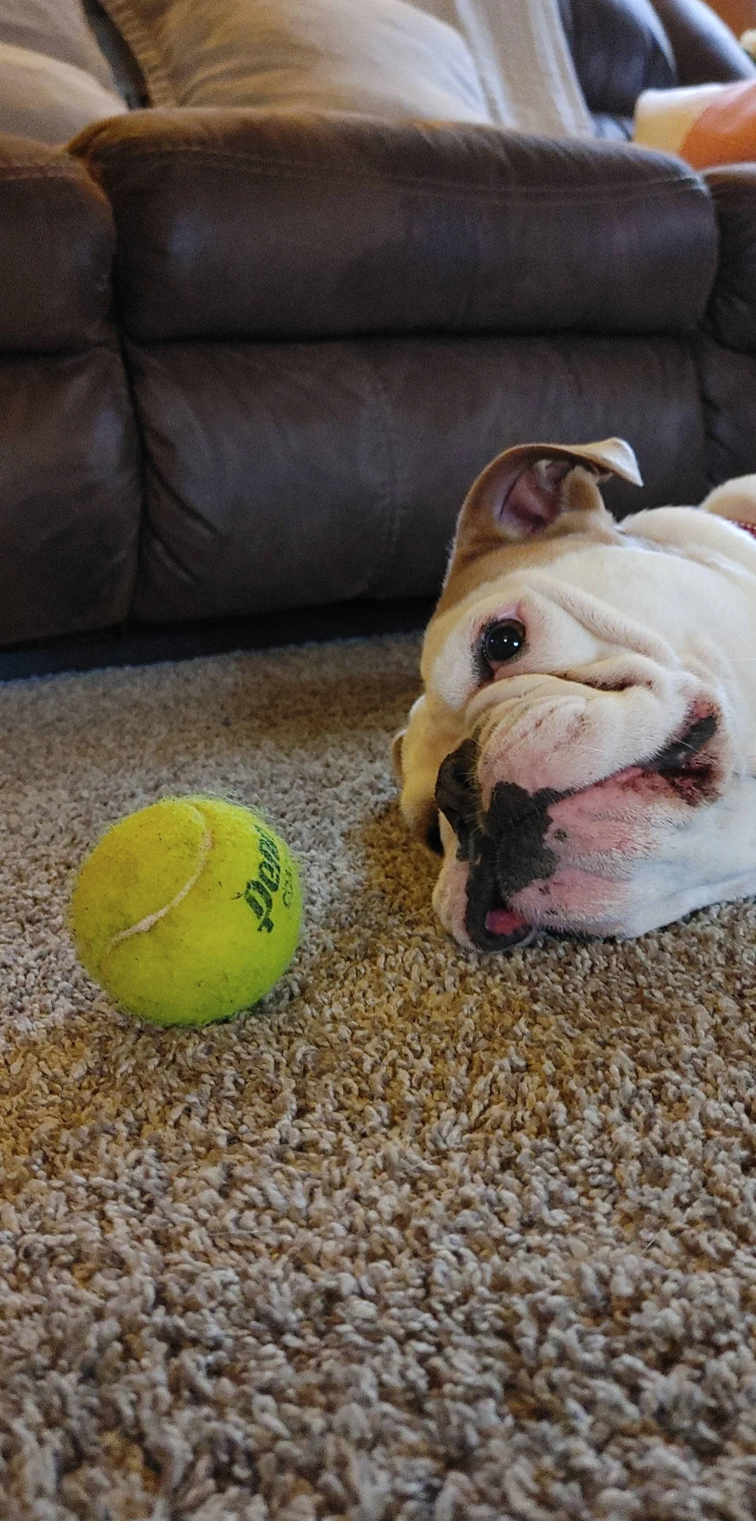 Ball concentration | Scrolller