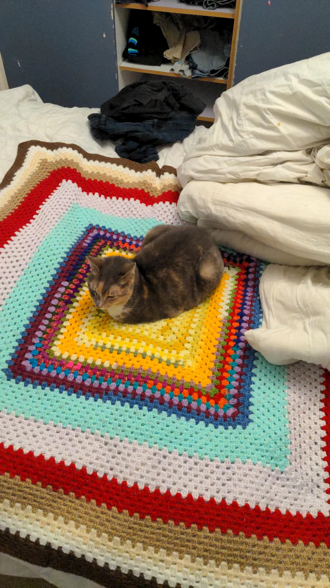 Right in the middle | Scrolller