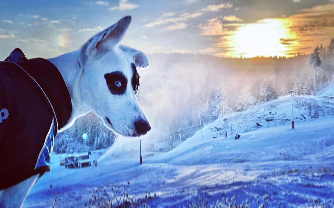 Winter is coming | Scrolller