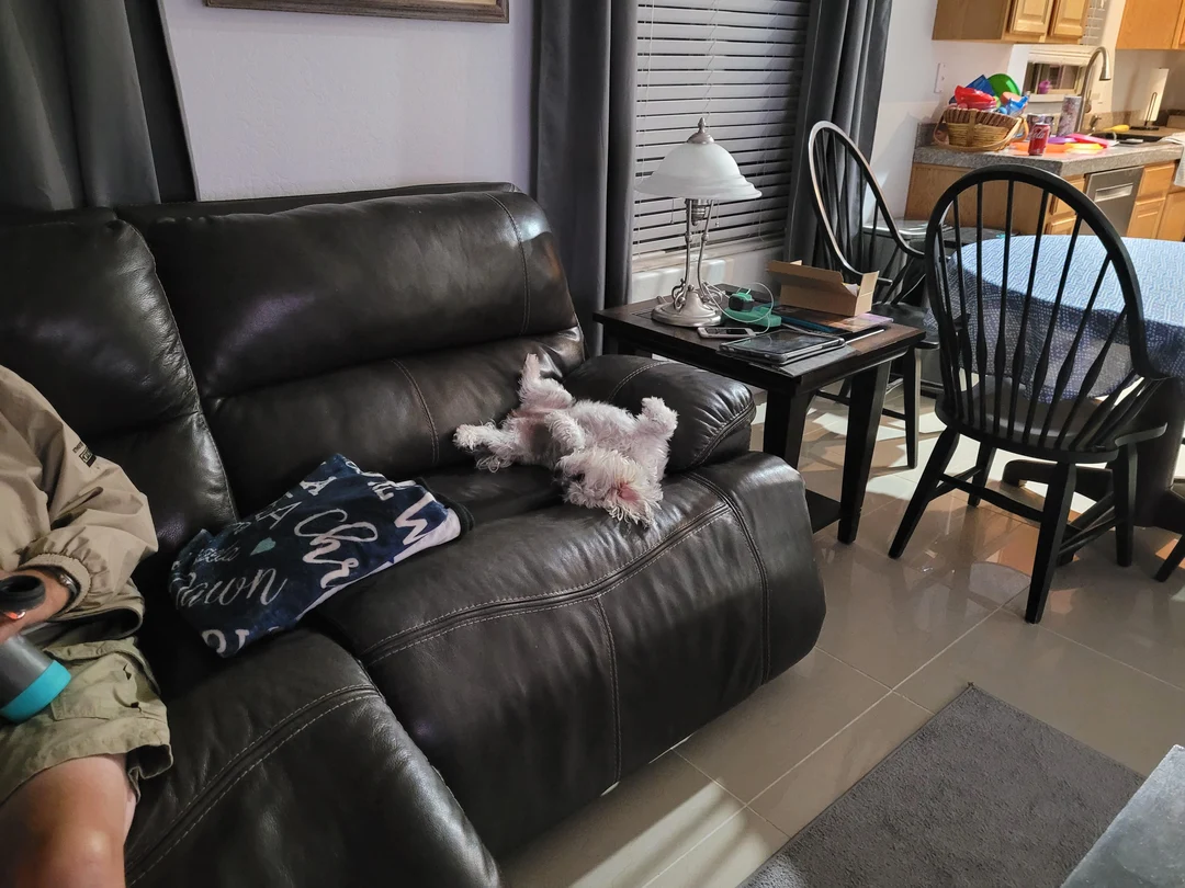 notice she's wide awake | Scrolller