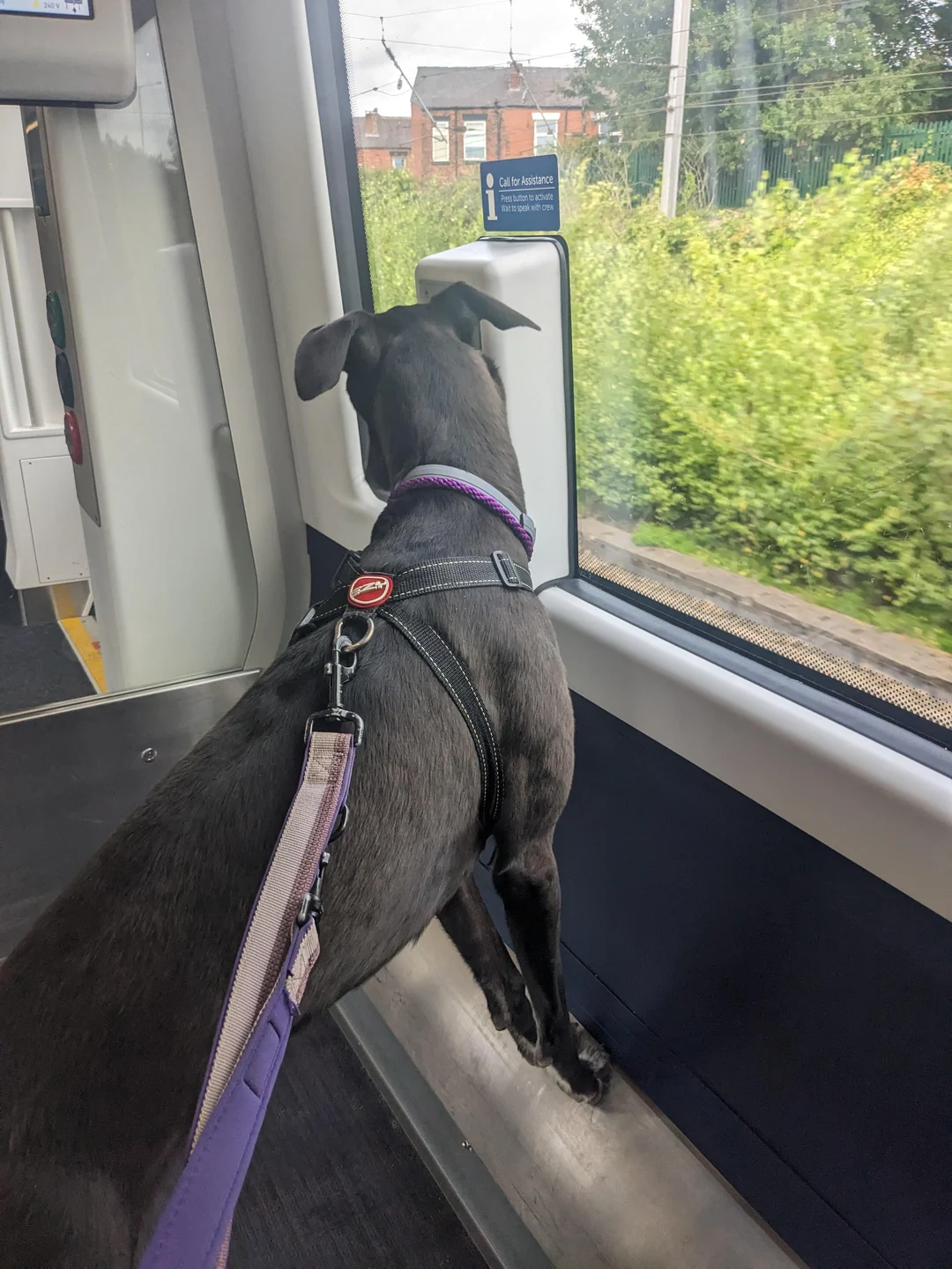 We did our first train ride together | Scrolller